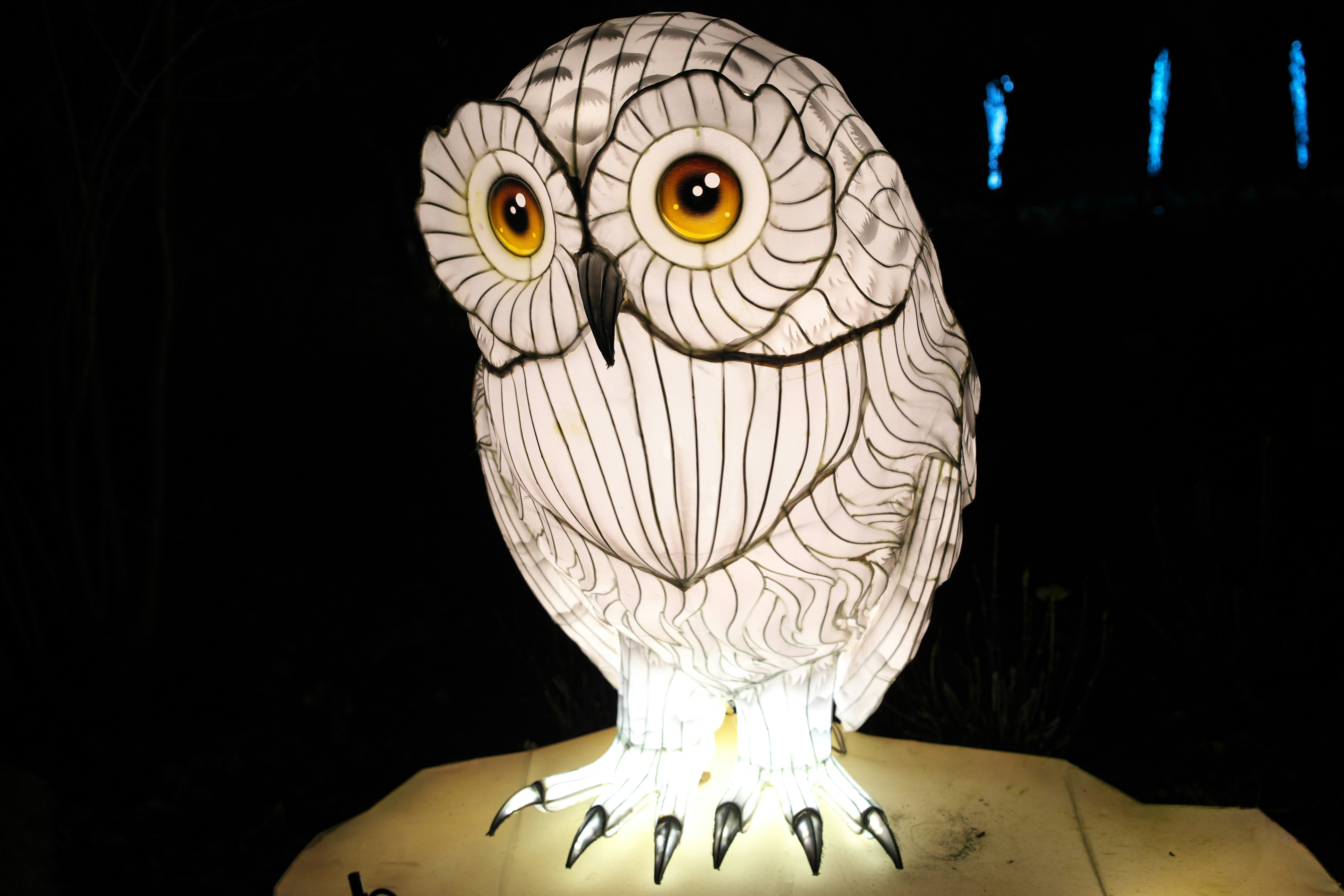 Night-Lit Owl Lantern: A Geometric Portrait in Feather Light