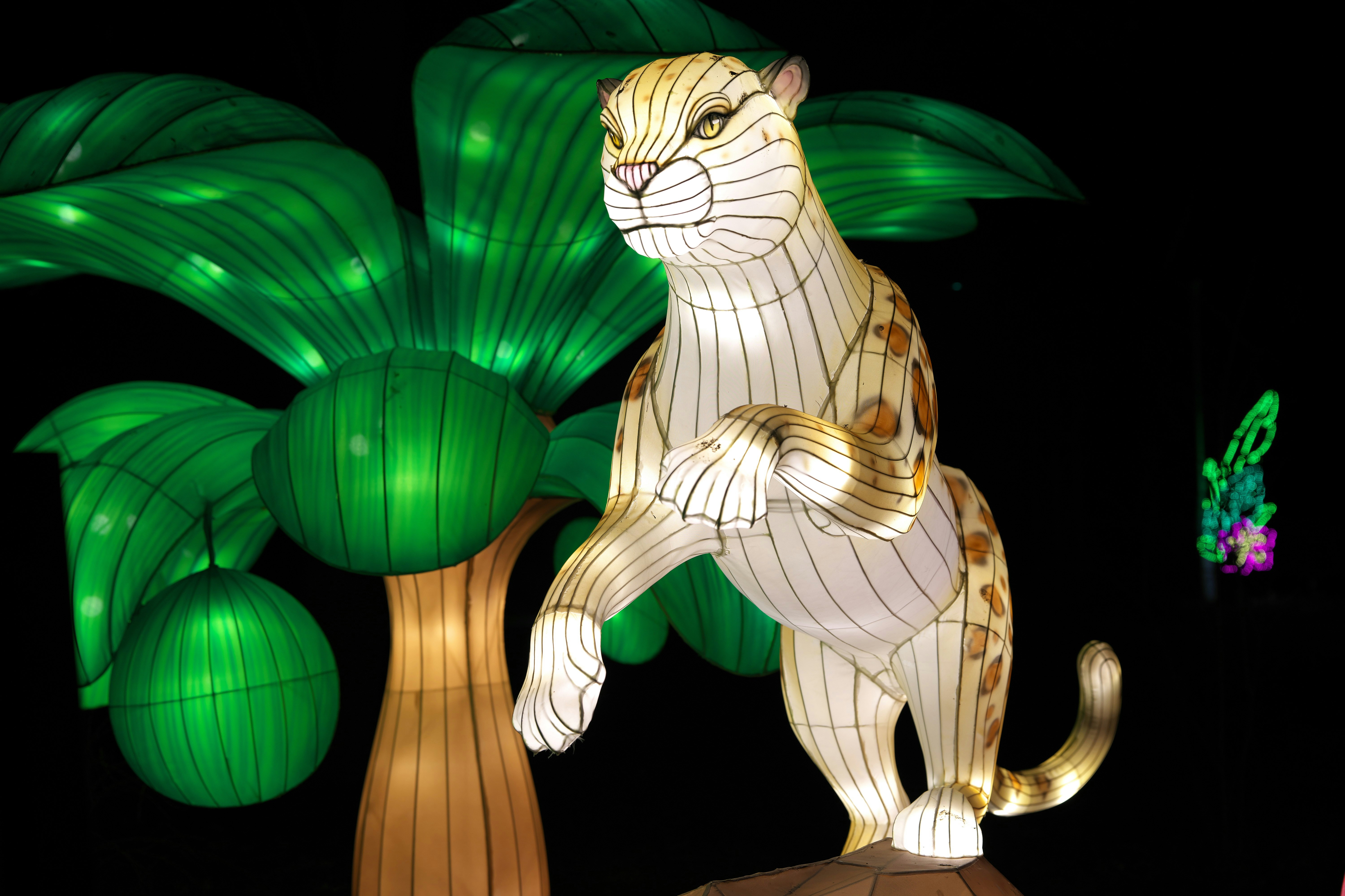 Photo by Tadeusz Zachwieja with Sony Alpha 7R V