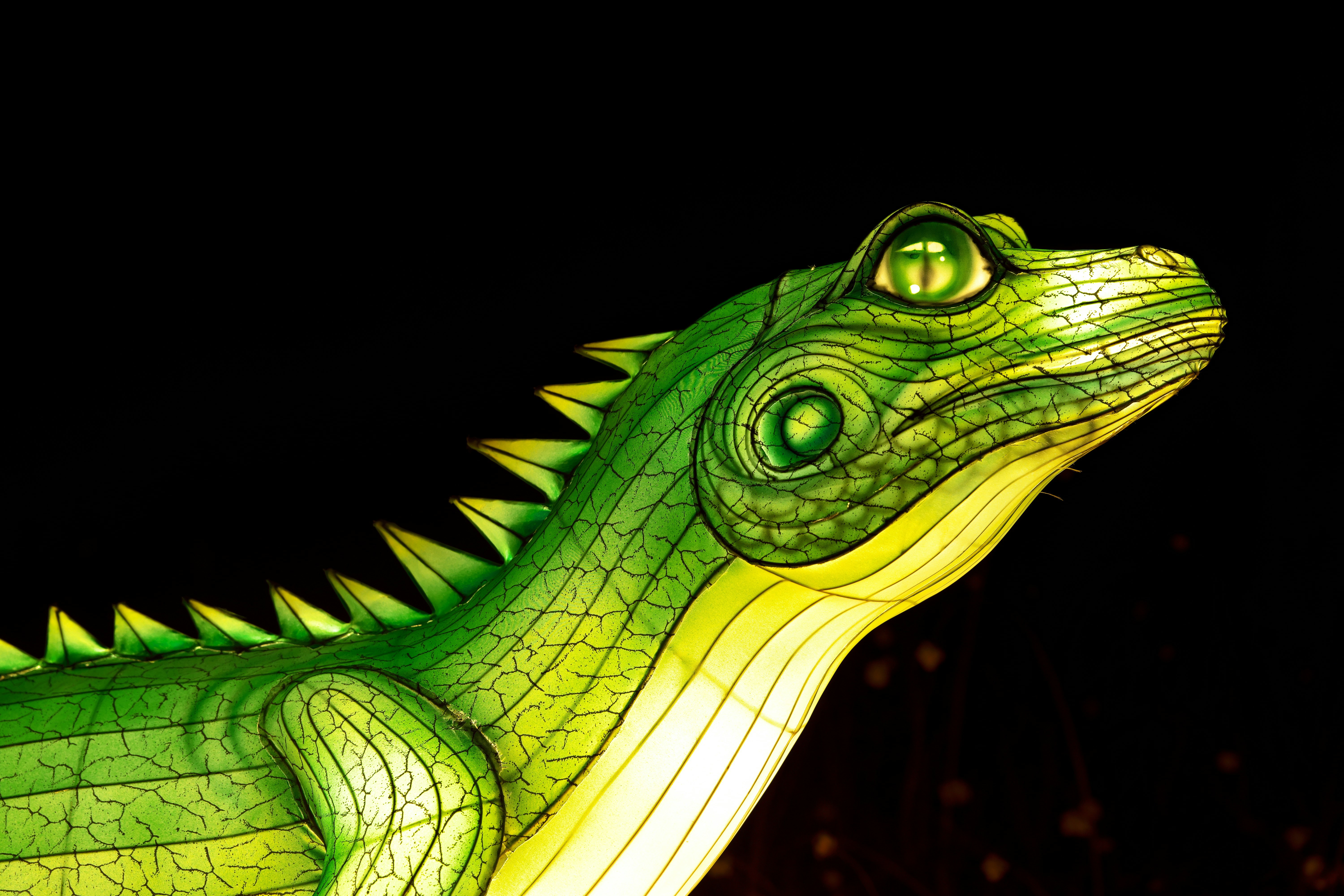 Emerald Dragonhead in Neon Night