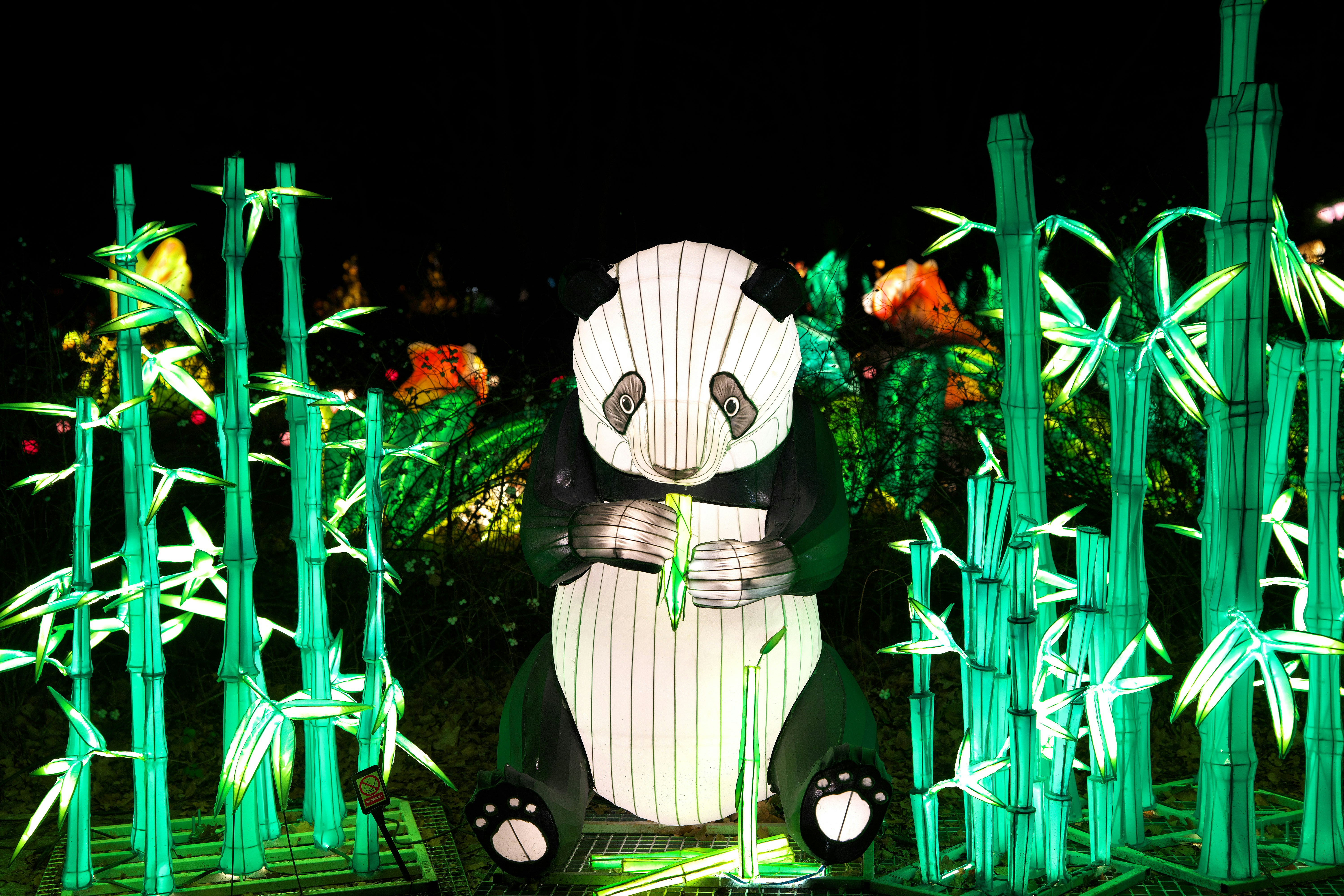 Midnight Panda Amid Neon Bamboo in a Garden of Light