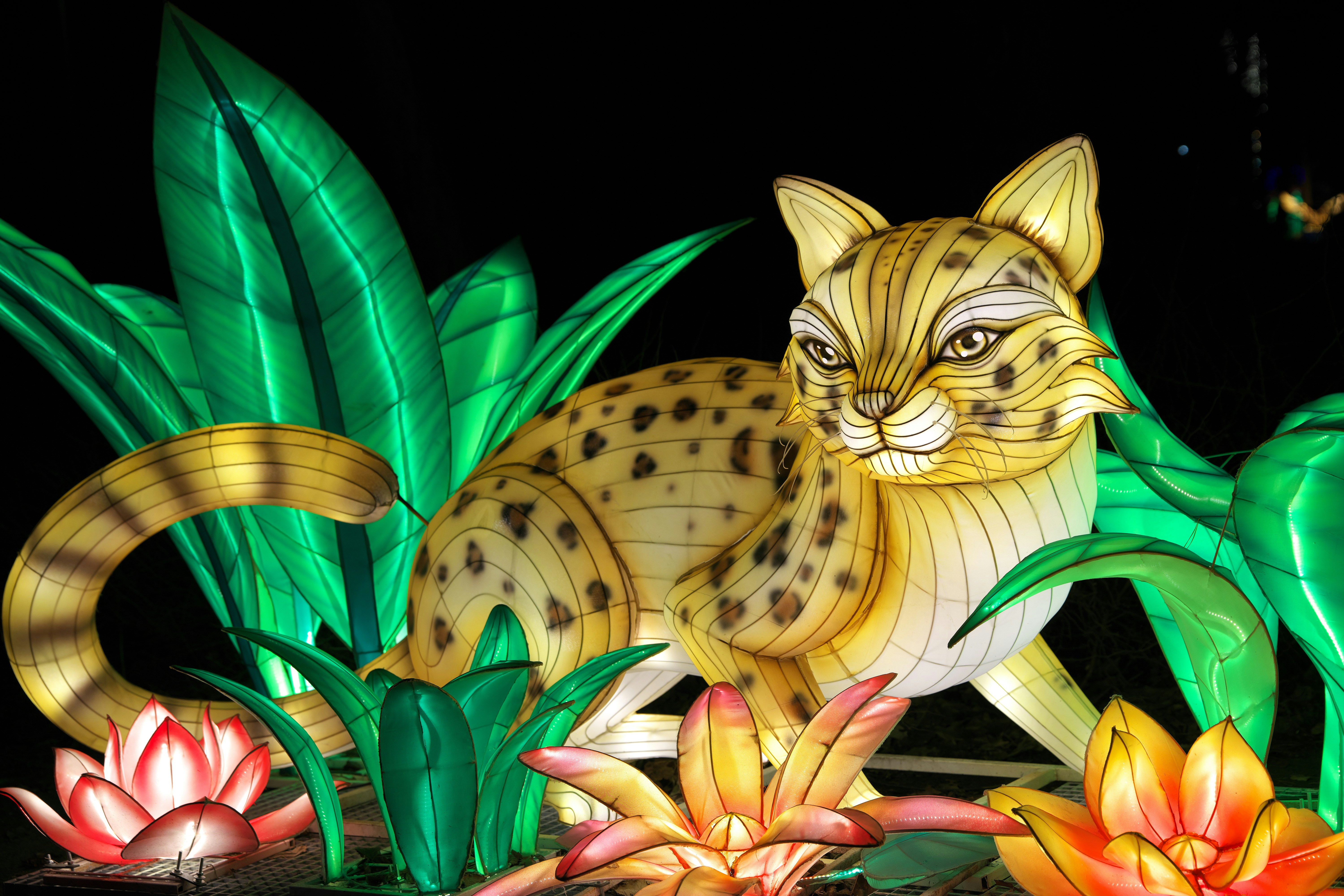 Glowing Tiger Lantern Amid Tropical Bloom