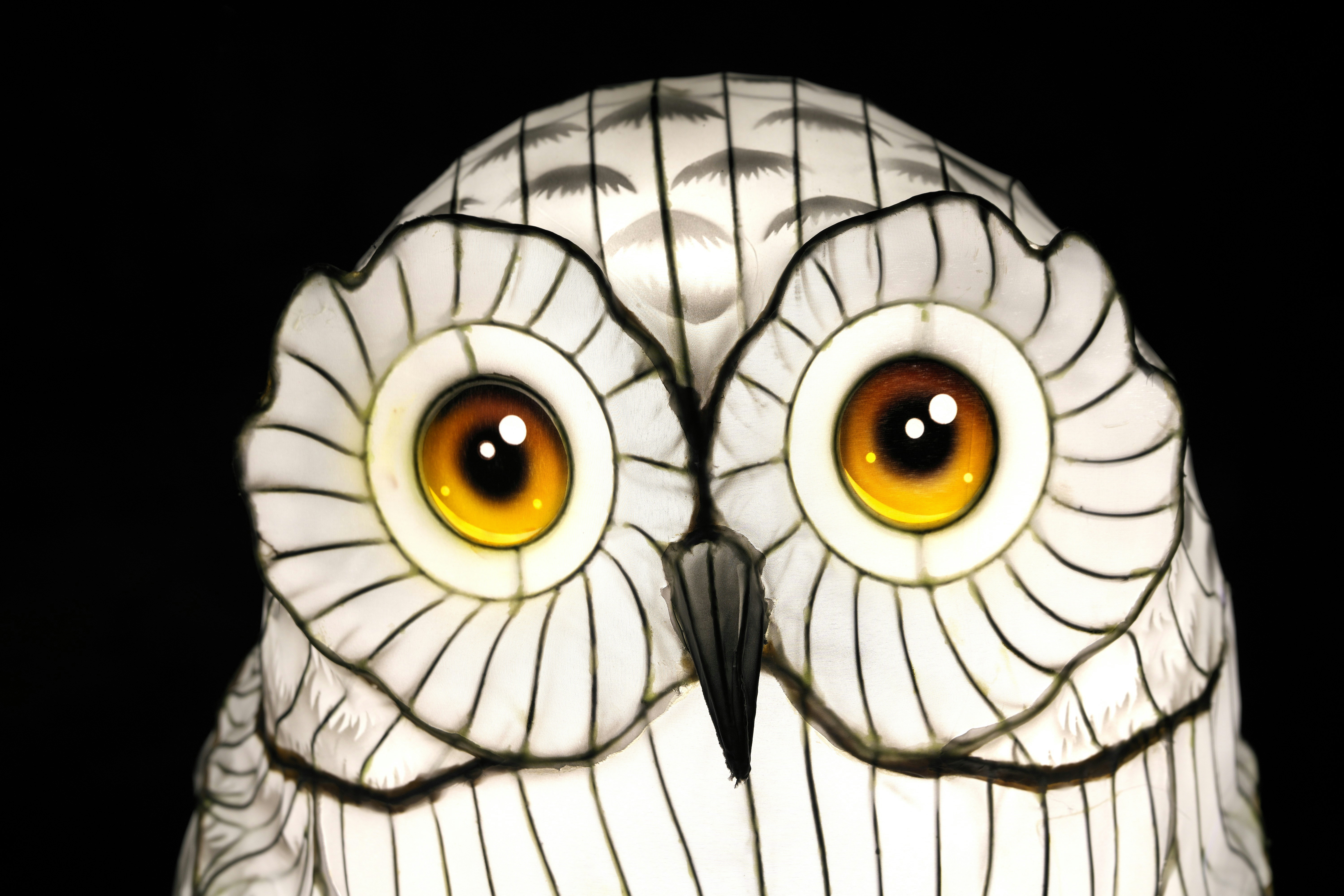 Photo by Tadeusz Zachwieja with Sony Alpha 7R V