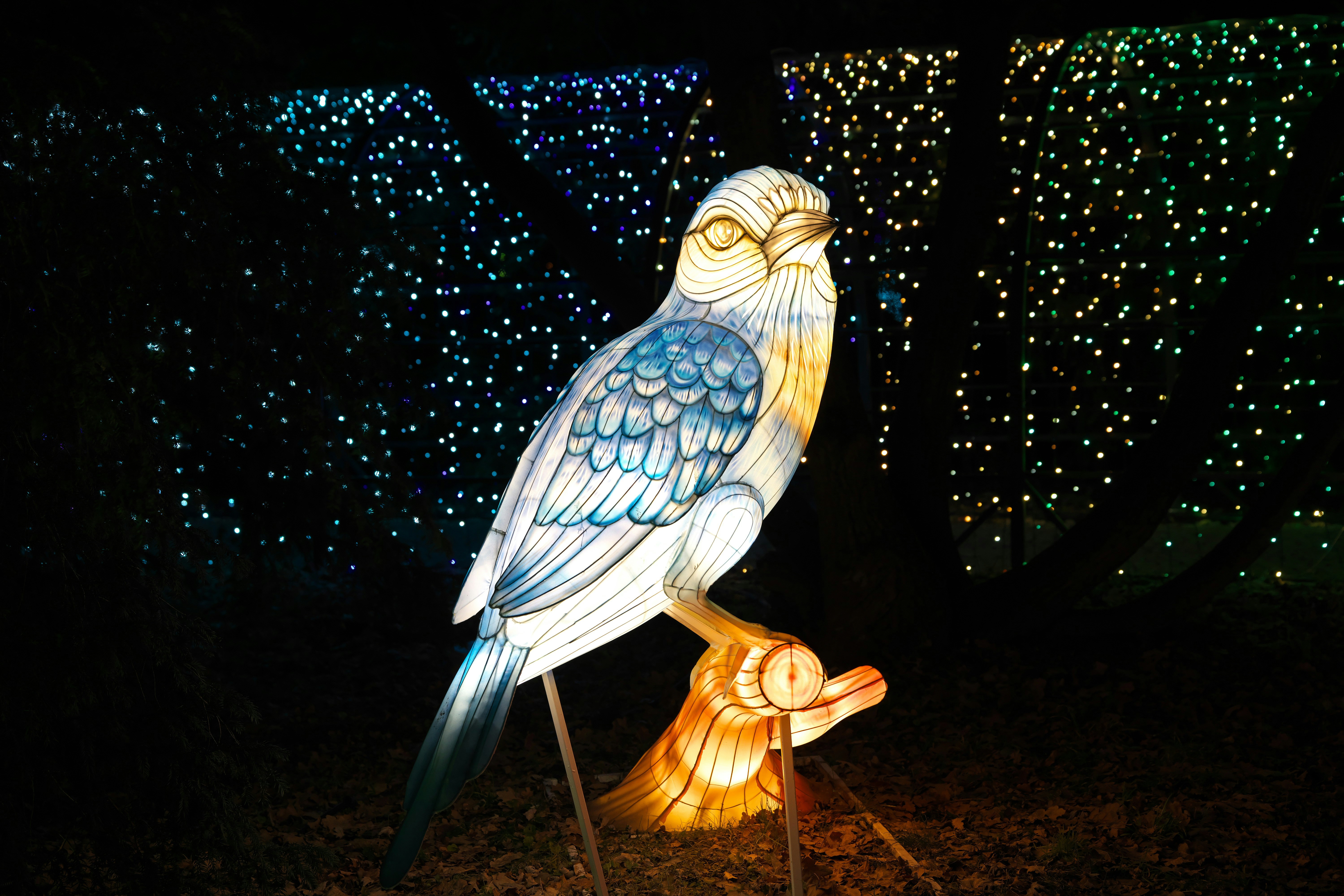 Lumen Owl Under a Sky of Fairy Lights