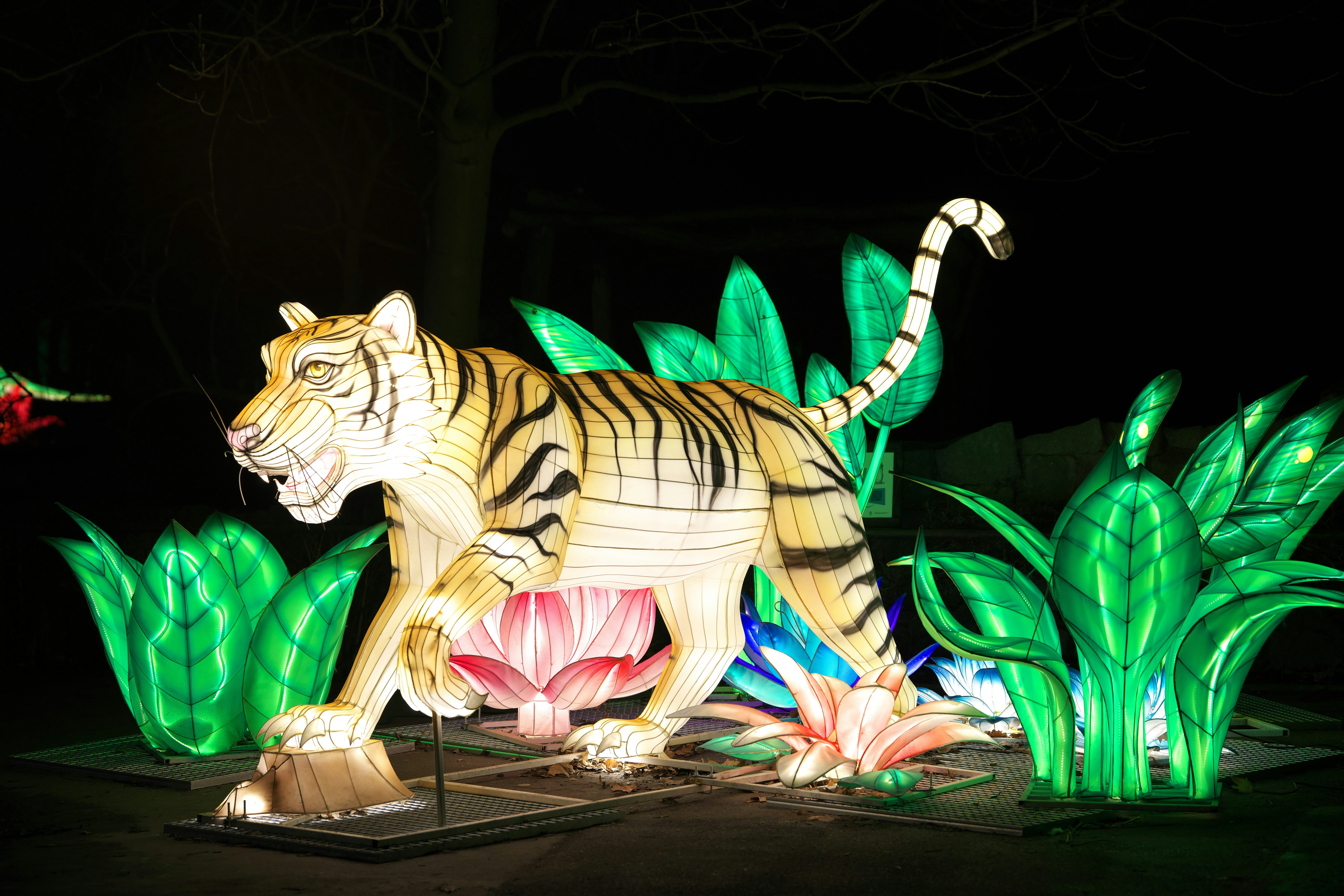 Photo by Tadeusz Zachwieja with Sony Alpha 7R V