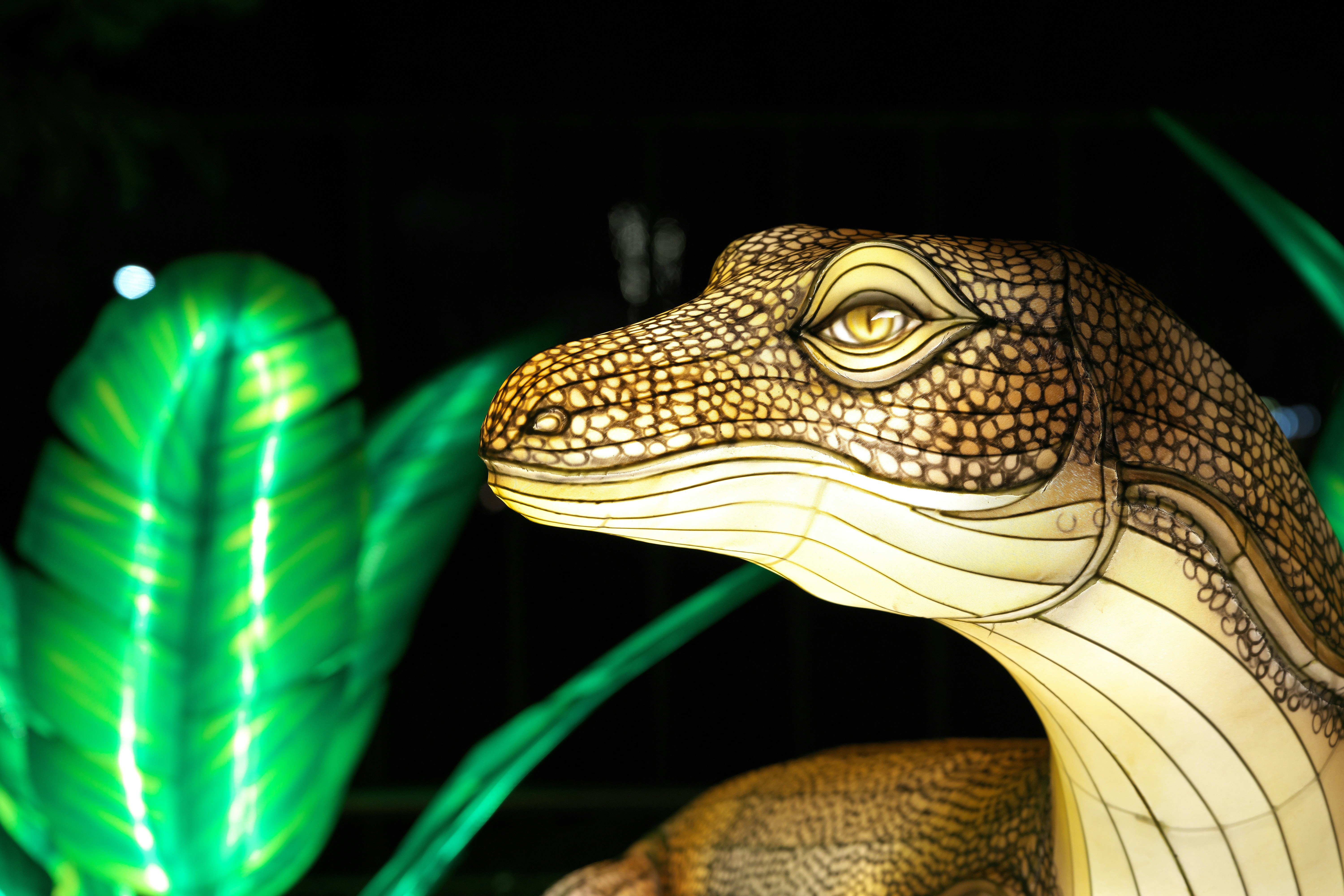 Neon Foliage, Stone Gaze: Night Exhibit of a Life-Size Dinosaur Head