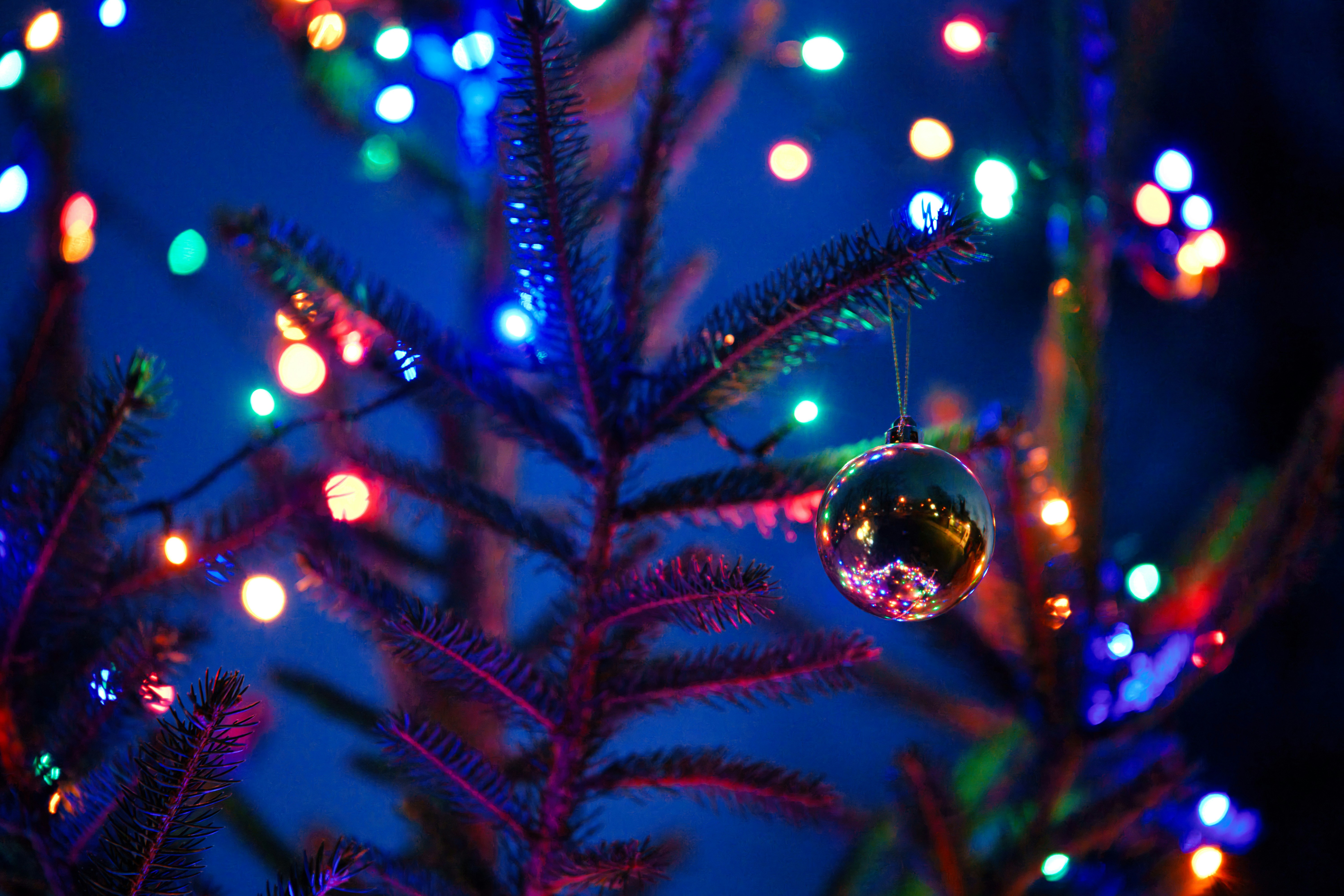 A close up of a christmas tree with lights photo – Free Christmas Image ...