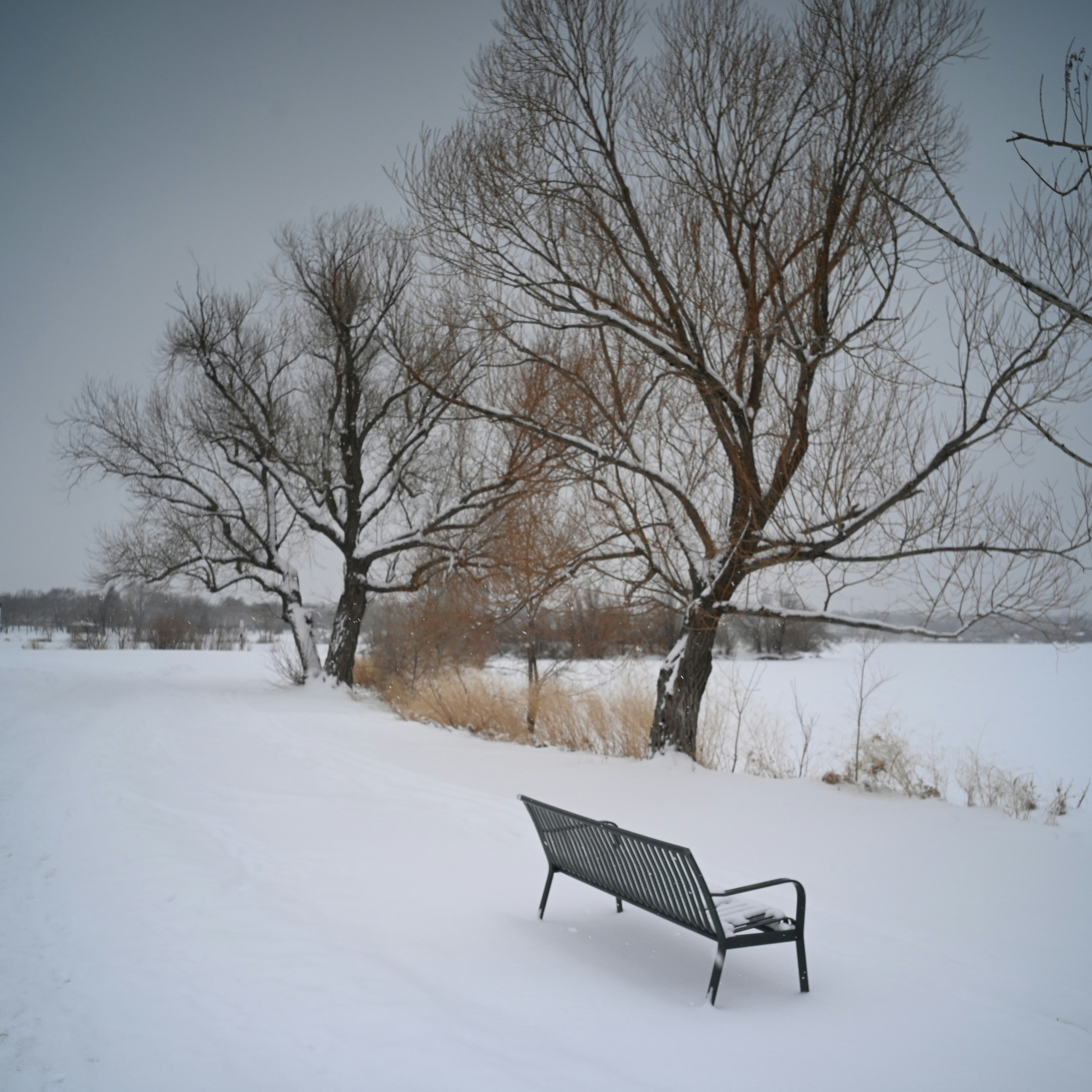 A bench sitting in the middle of a snow covered field photo – Free ...
