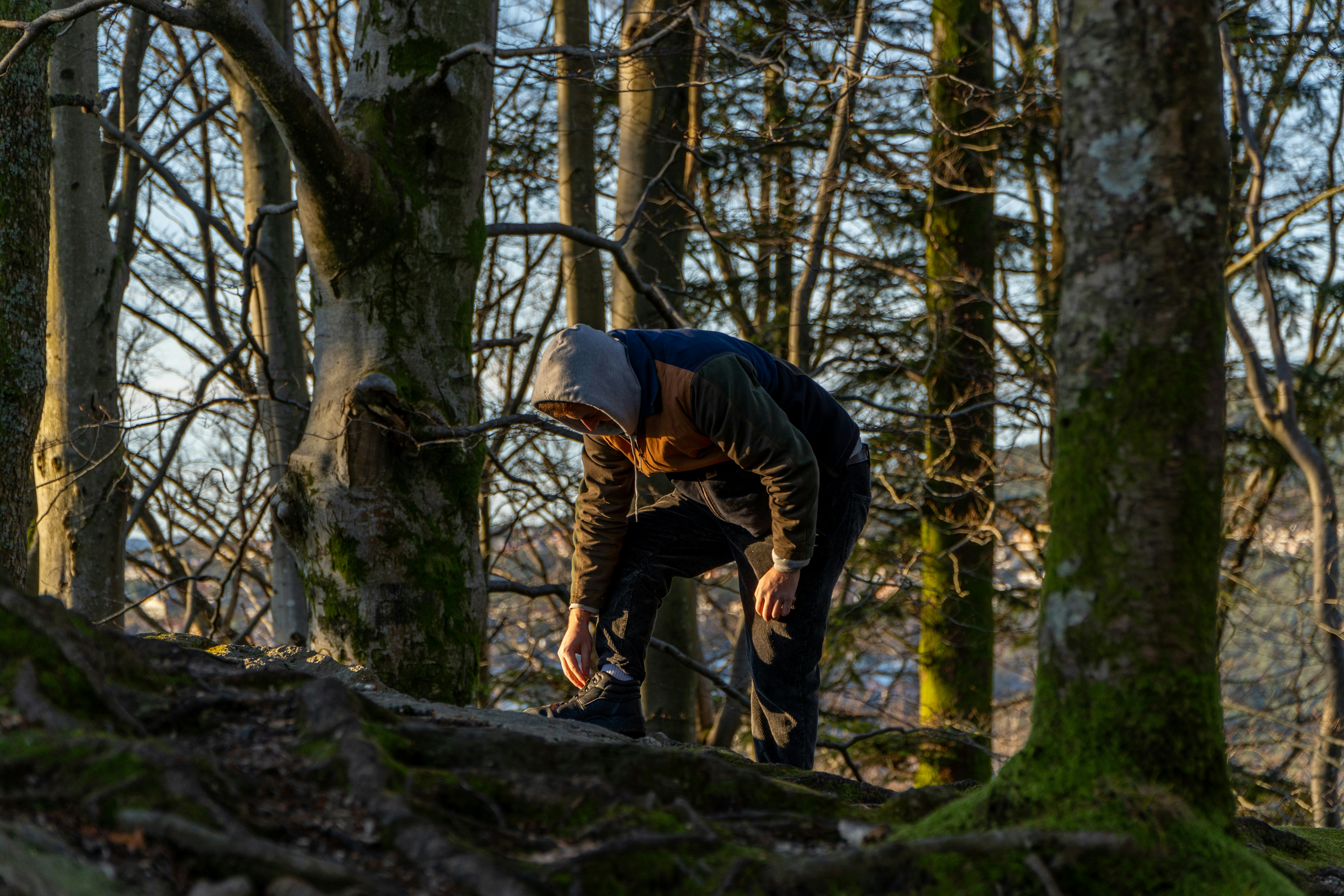 A man climbing up a tree in the woods photo – Free Forest Image on Unsplash