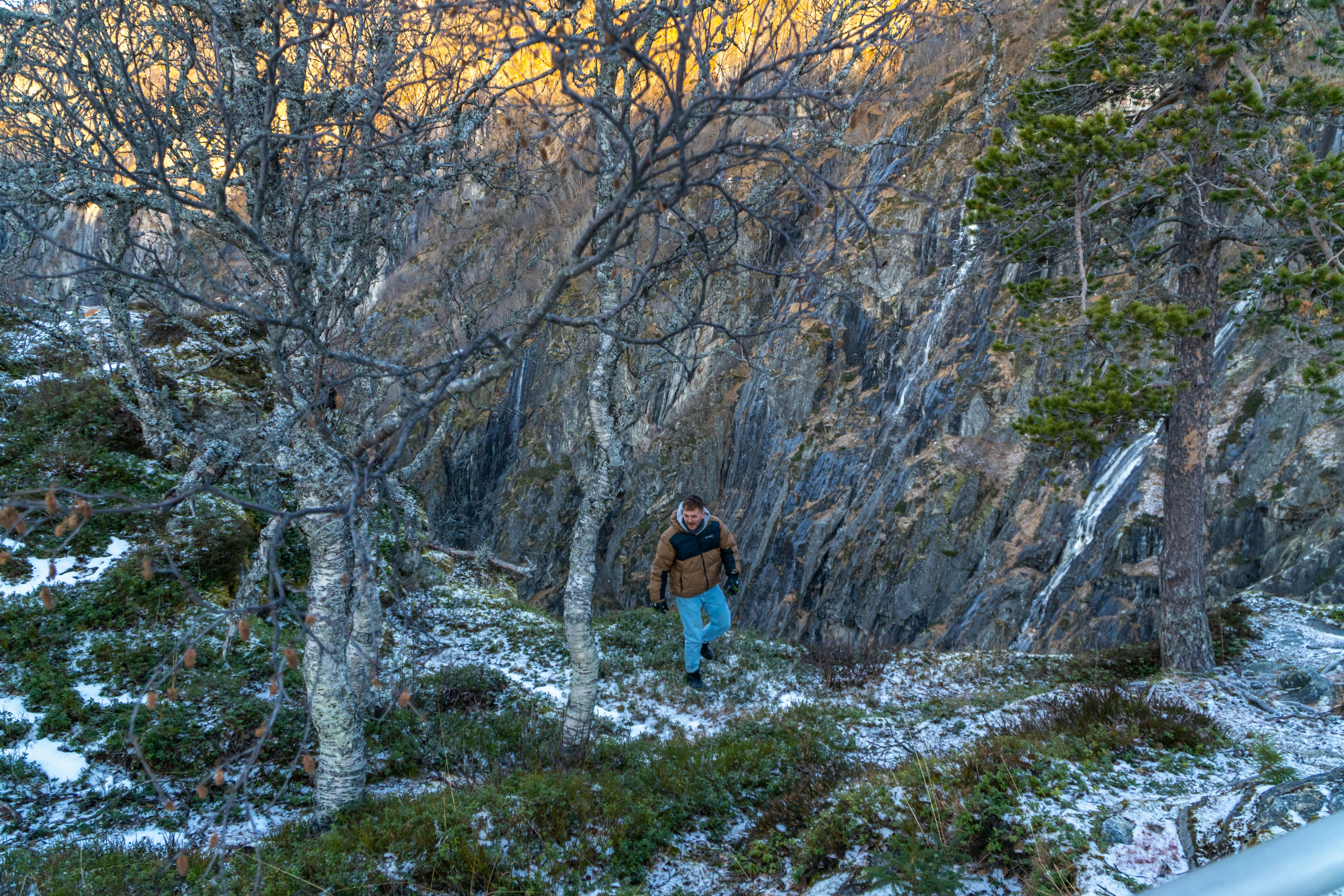 Hiker navigating a frosty woodland trail beside a rugged cliff, with snow patches and a warm sky glow.