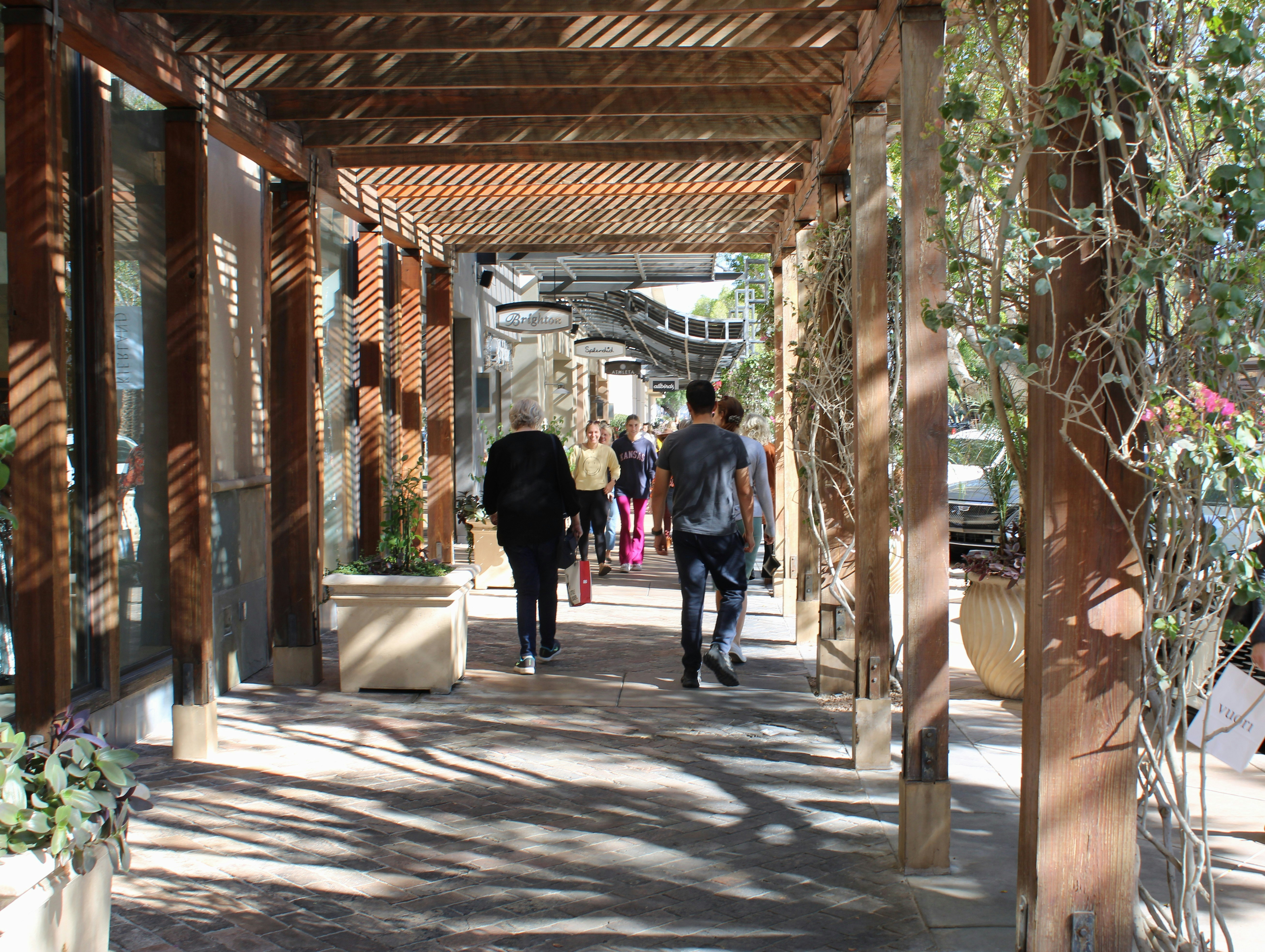 Sunlit Stroll Under Wooden Pergola