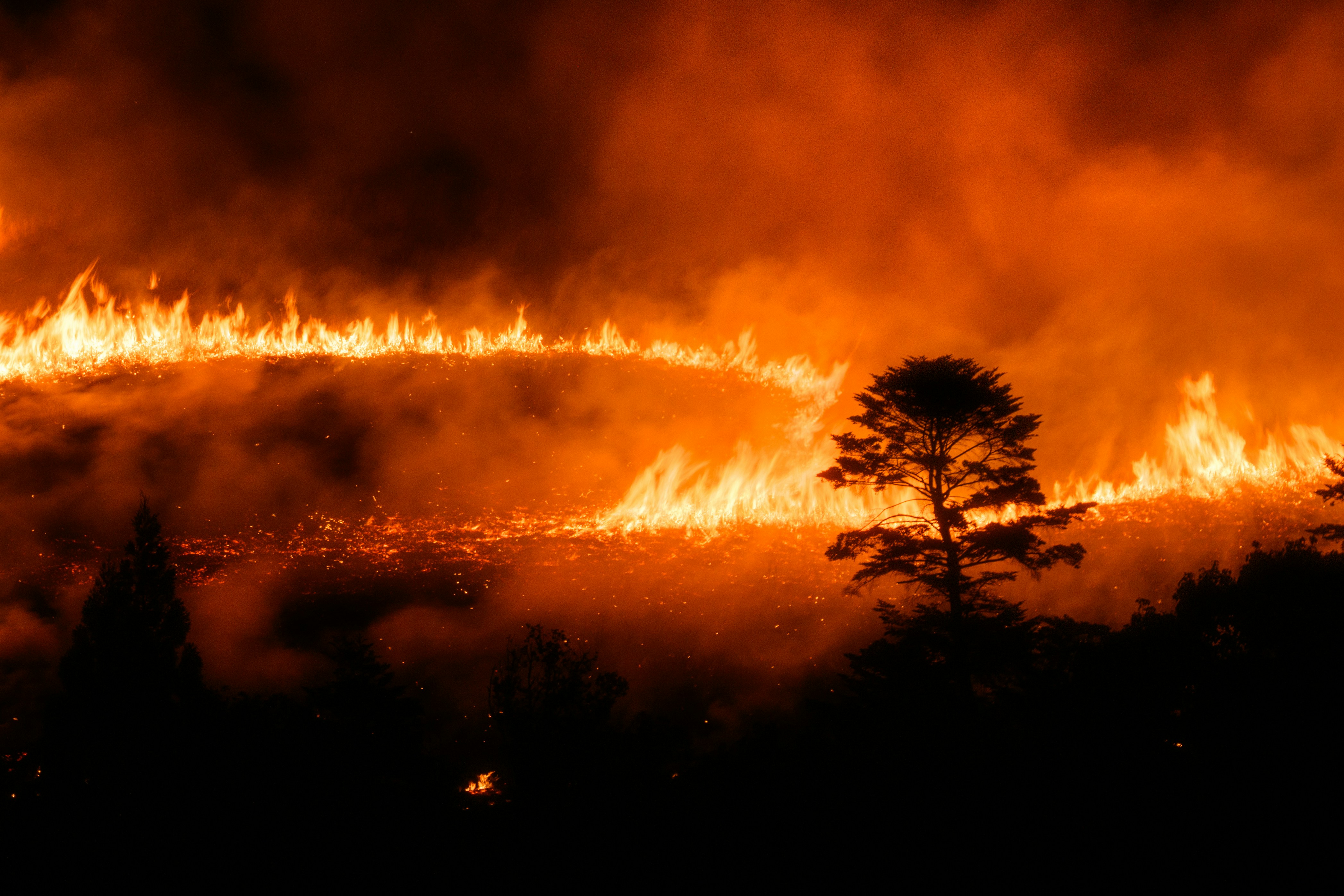 A large fire is burning in a field photo – Free Japan Image on Unsplash