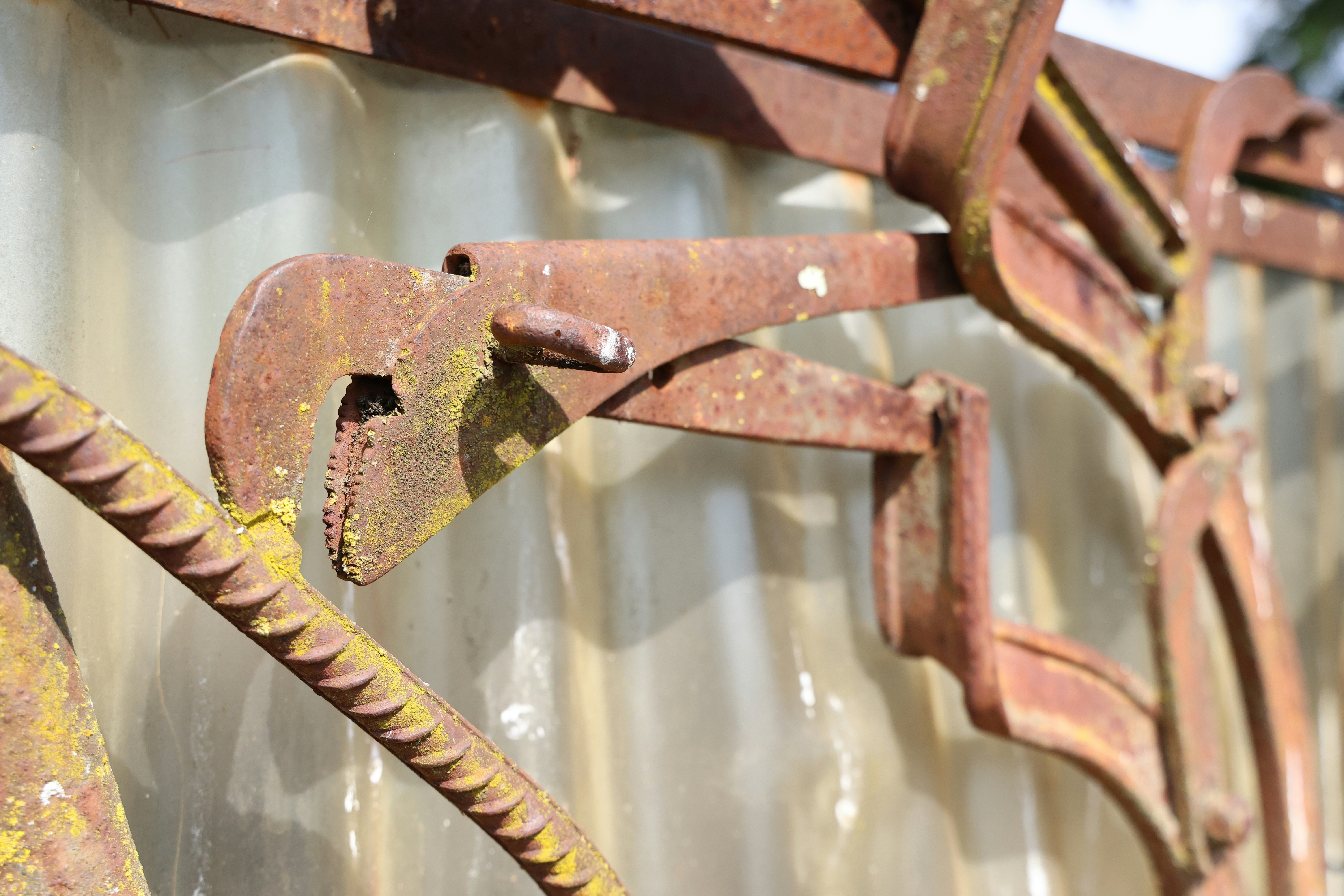 A rusted metal fence with a tree in the background photo – Free Rust ...