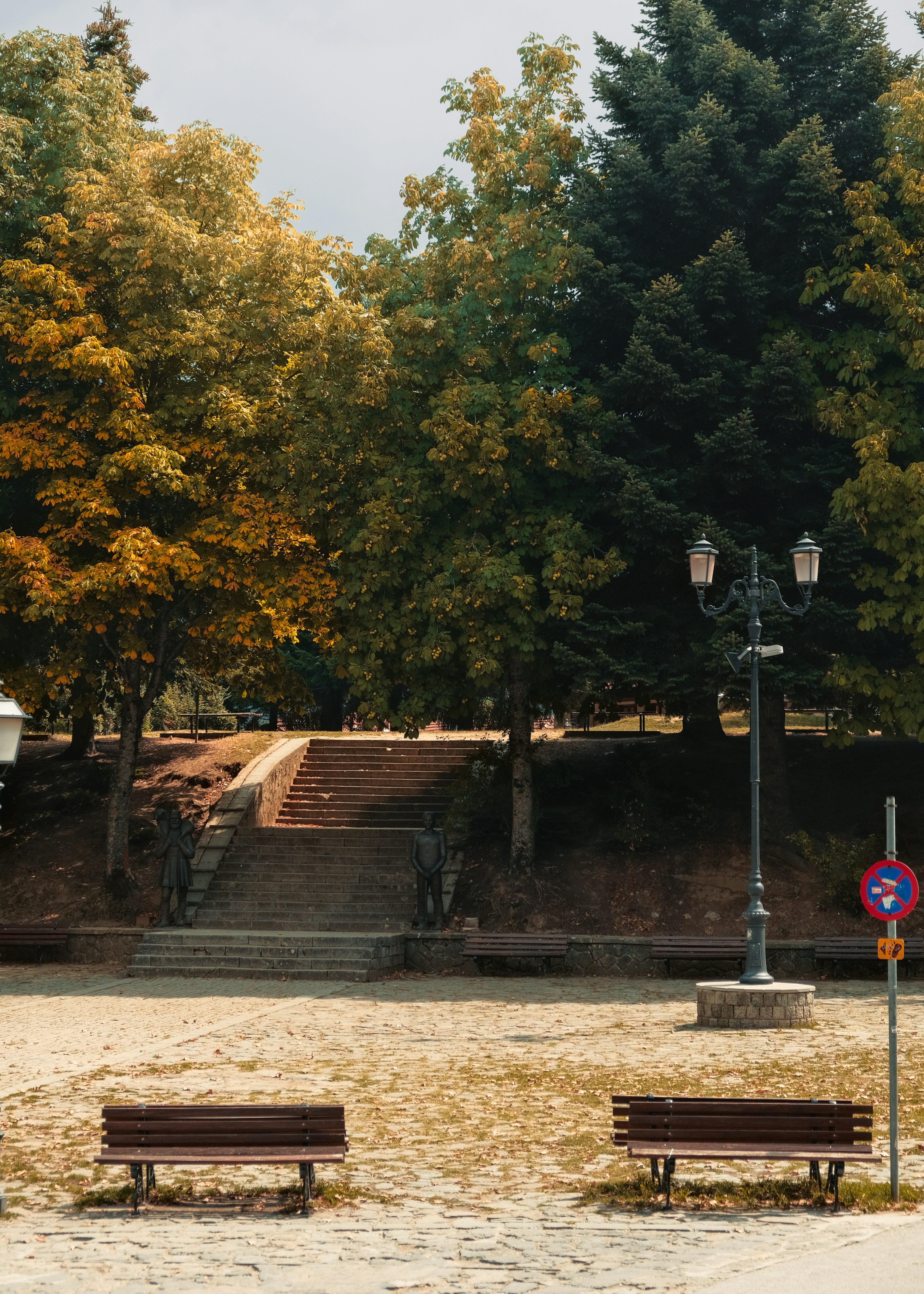 Lamplight Under the Autumn Canopy: Steps, Benches, and Quiet Park