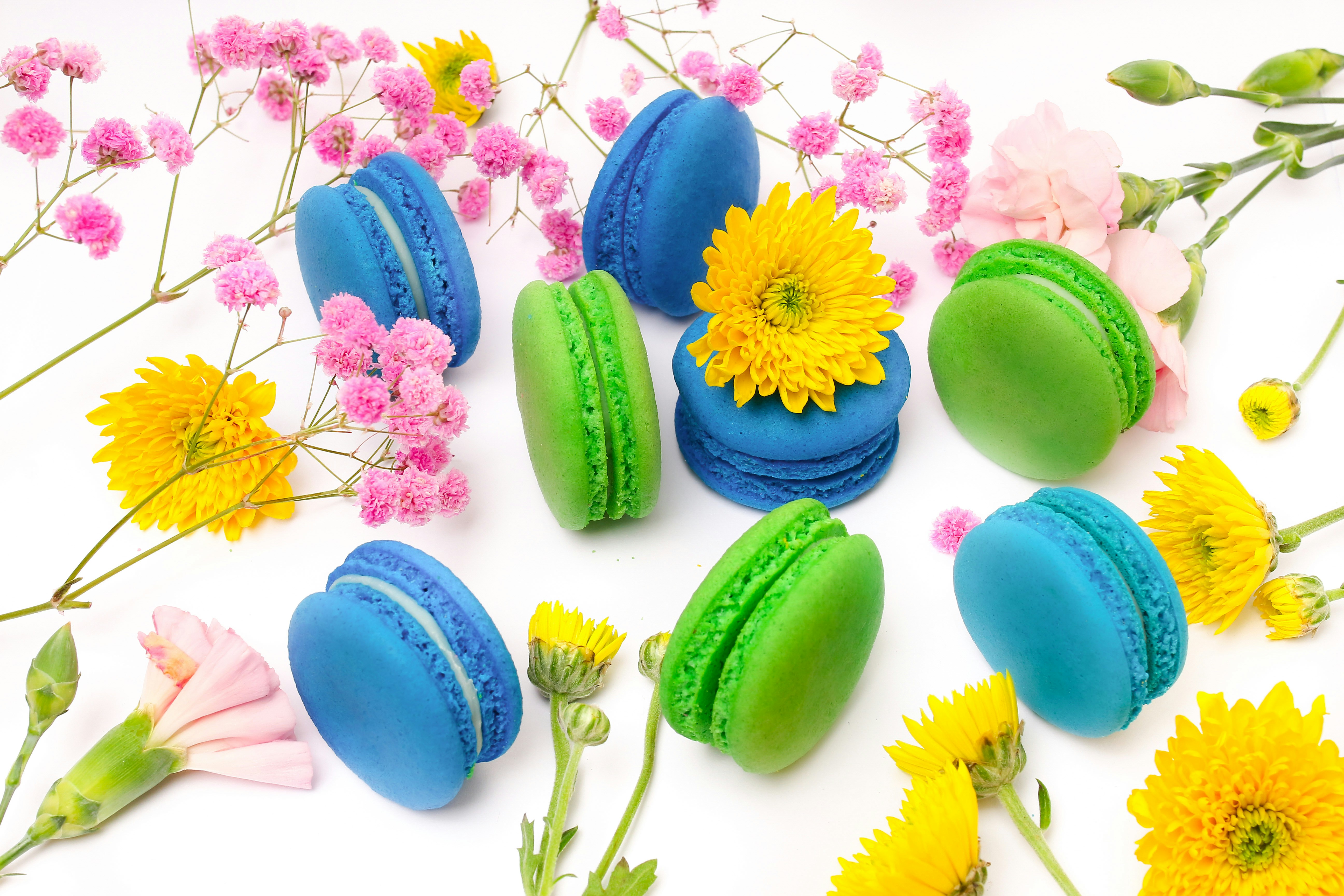 A table topped with macaroons and flowers photo – Free Food Image on ...