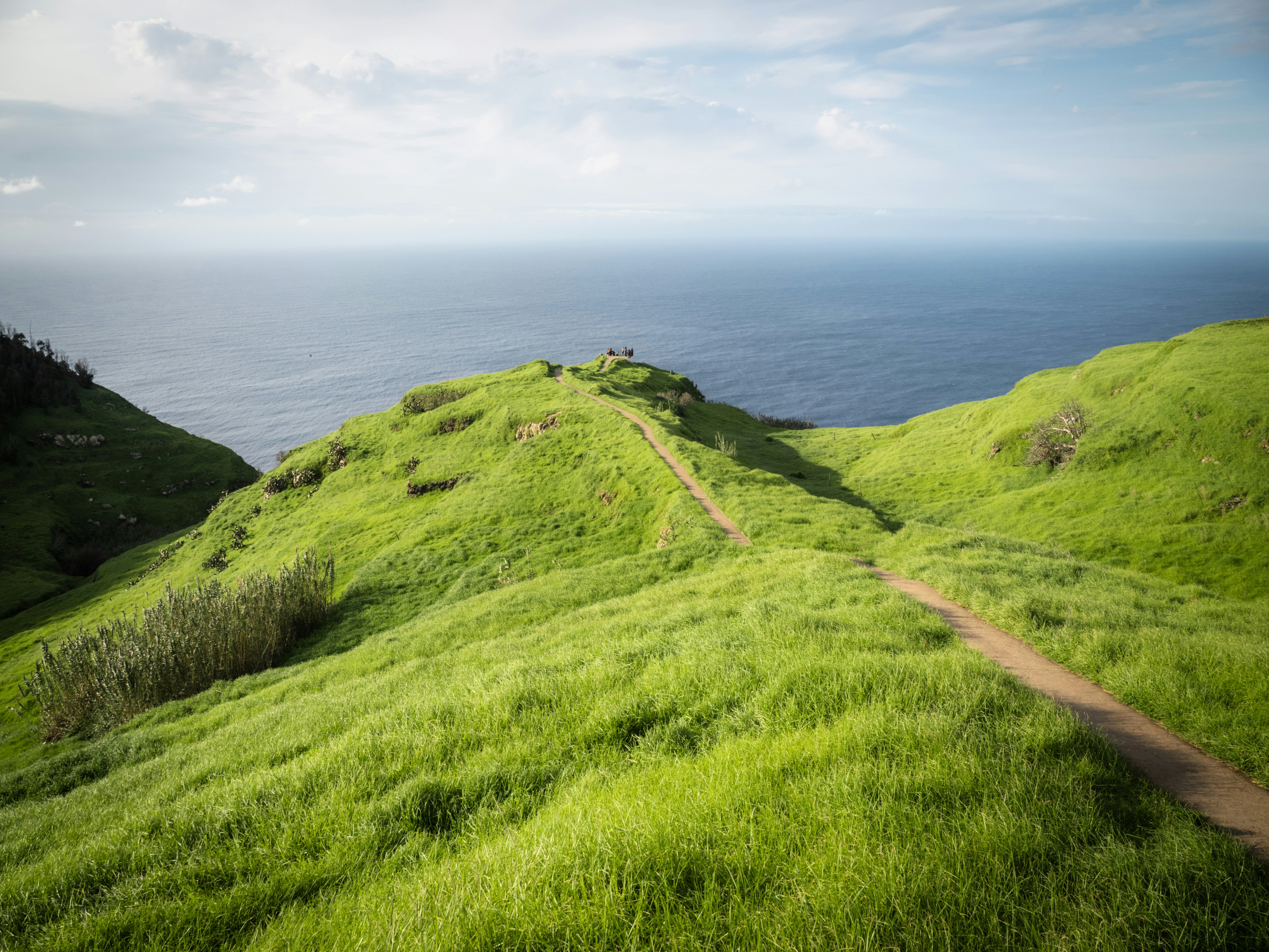 Pathway to the Horizon