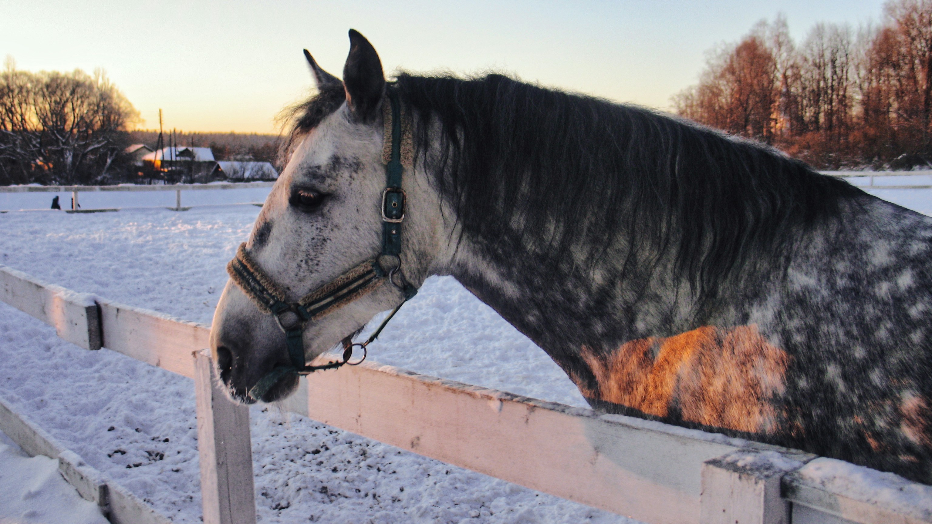 Photo by Vladislav K. with Canon PowerShot G6