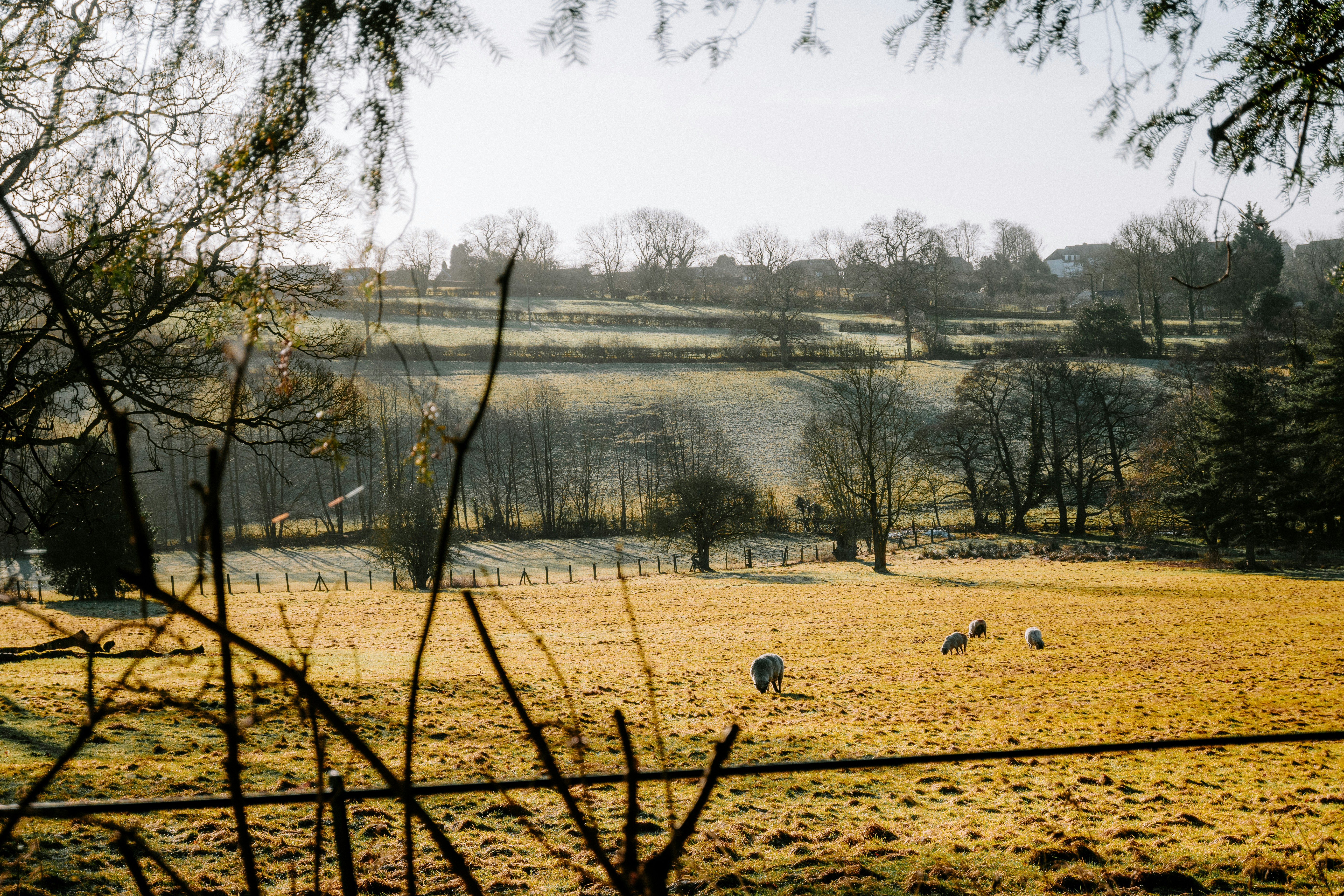 Photo by Mark Hamilton with Nikon Z30