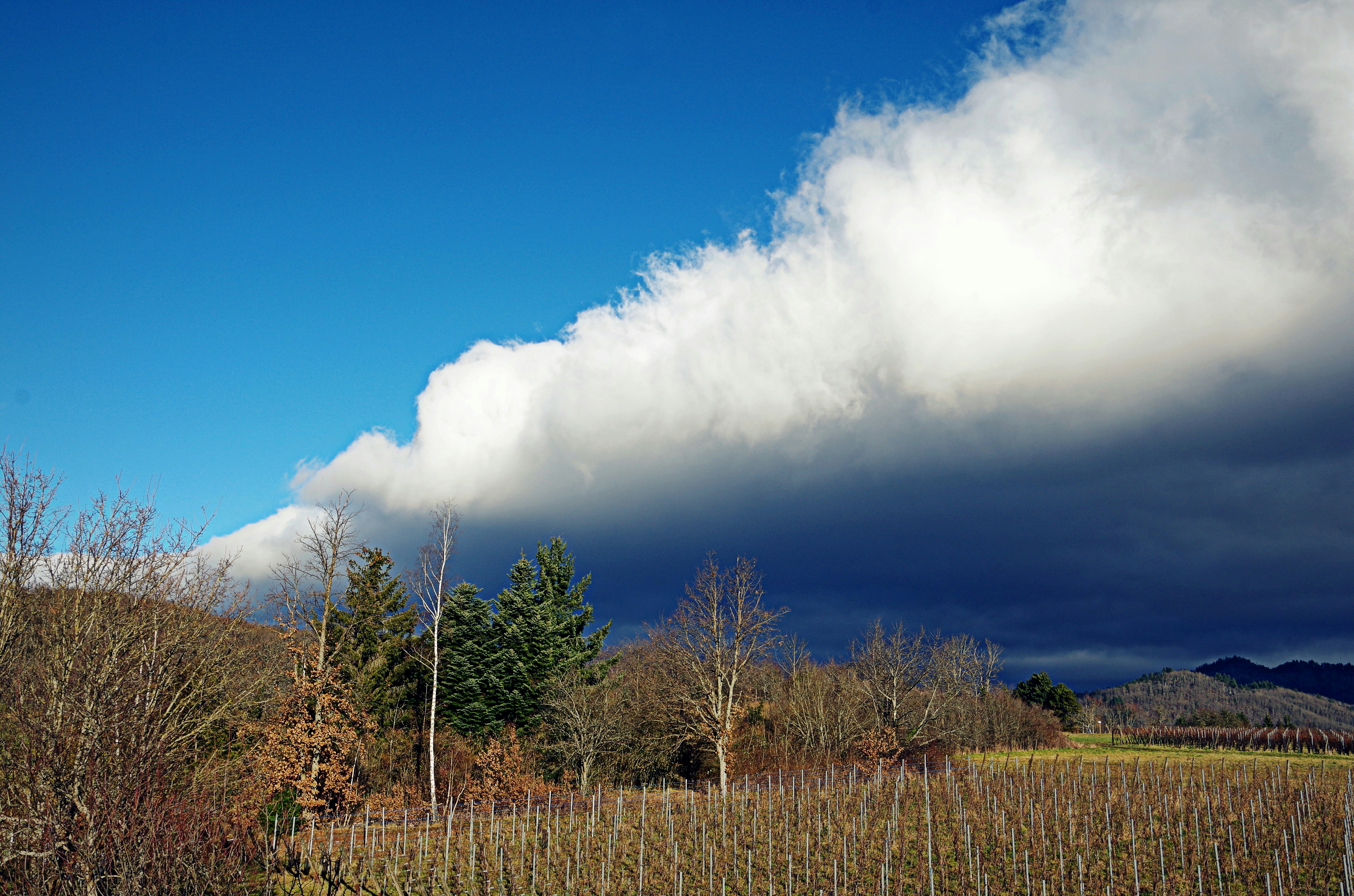 A large cloud is in the sky over a field photo – Free Nature Image on ...