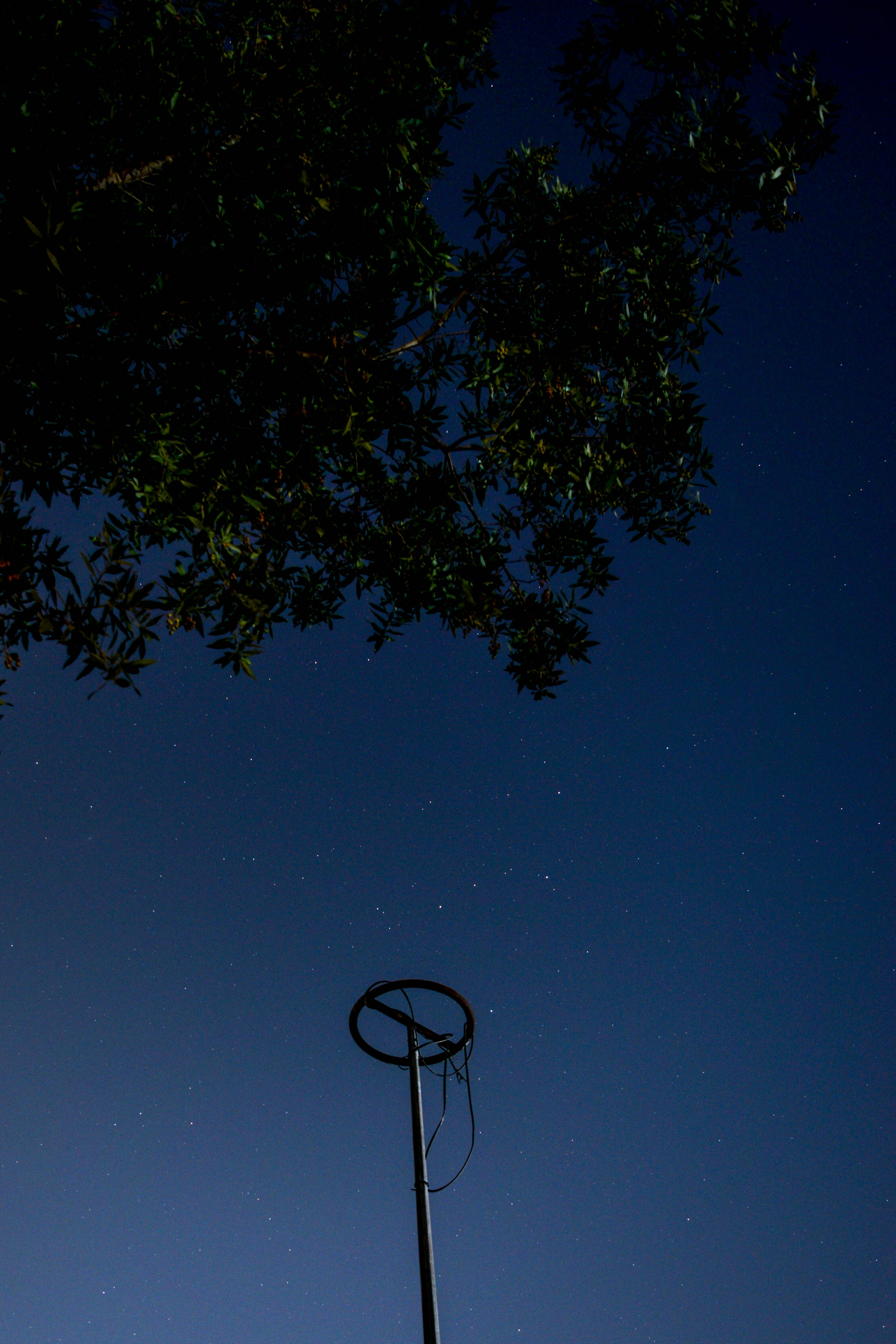 Ringed Antenna Beneath a Velvet Night Sky