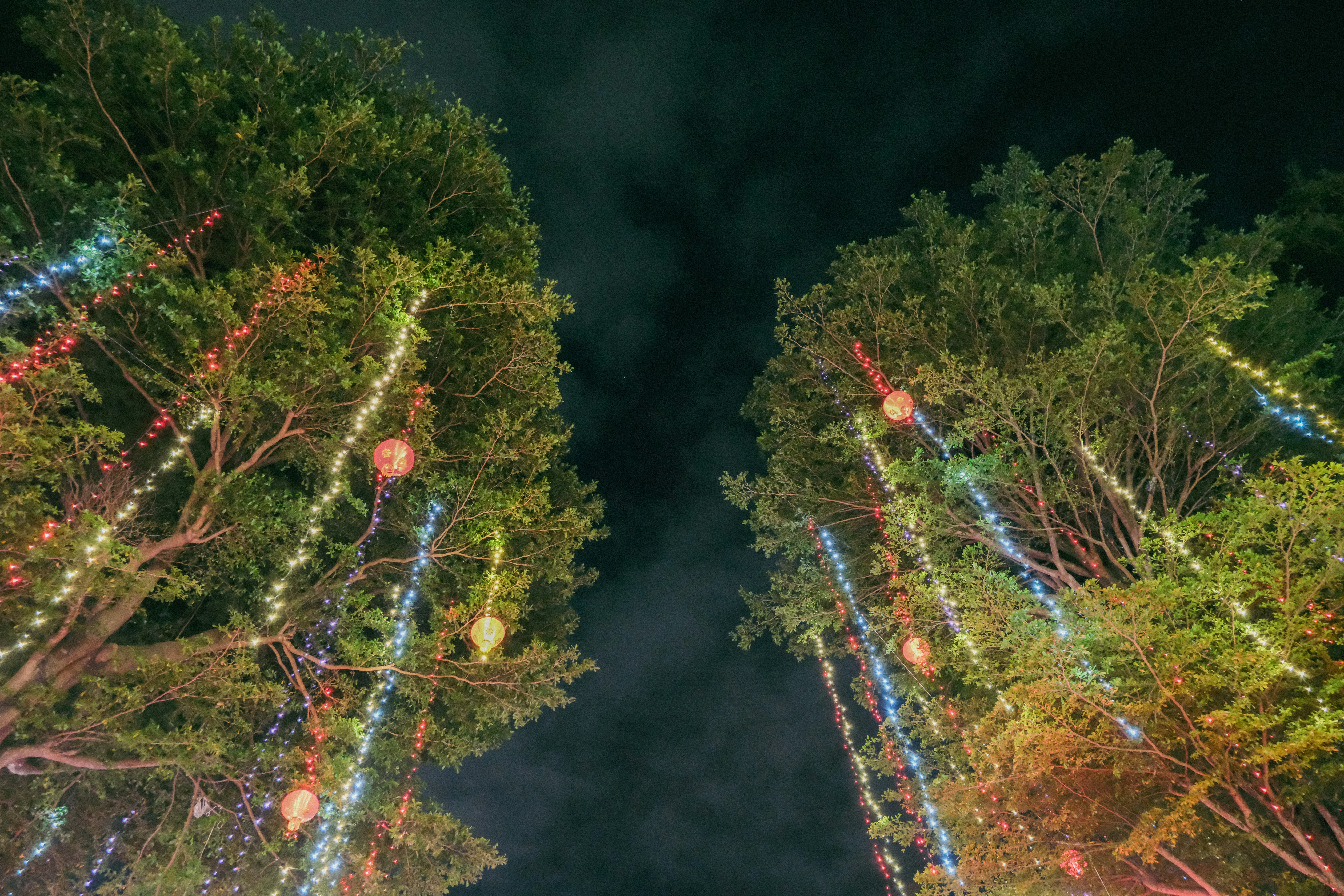 Lantern Threads Rise Through a Neon-Glowed Canopy