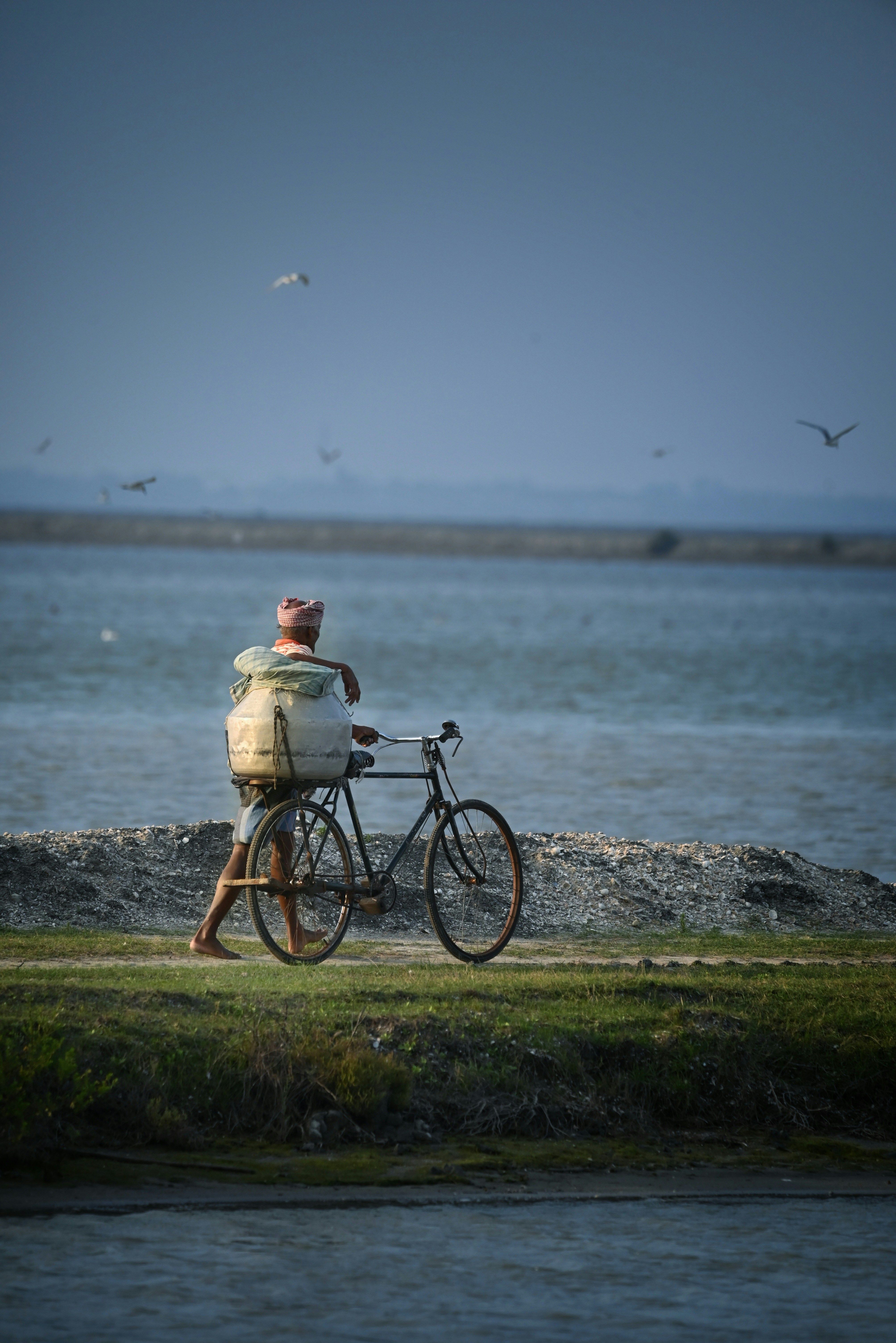 Cargo Bicycle at the Coast: A Solitary Rider by the Water's Edge