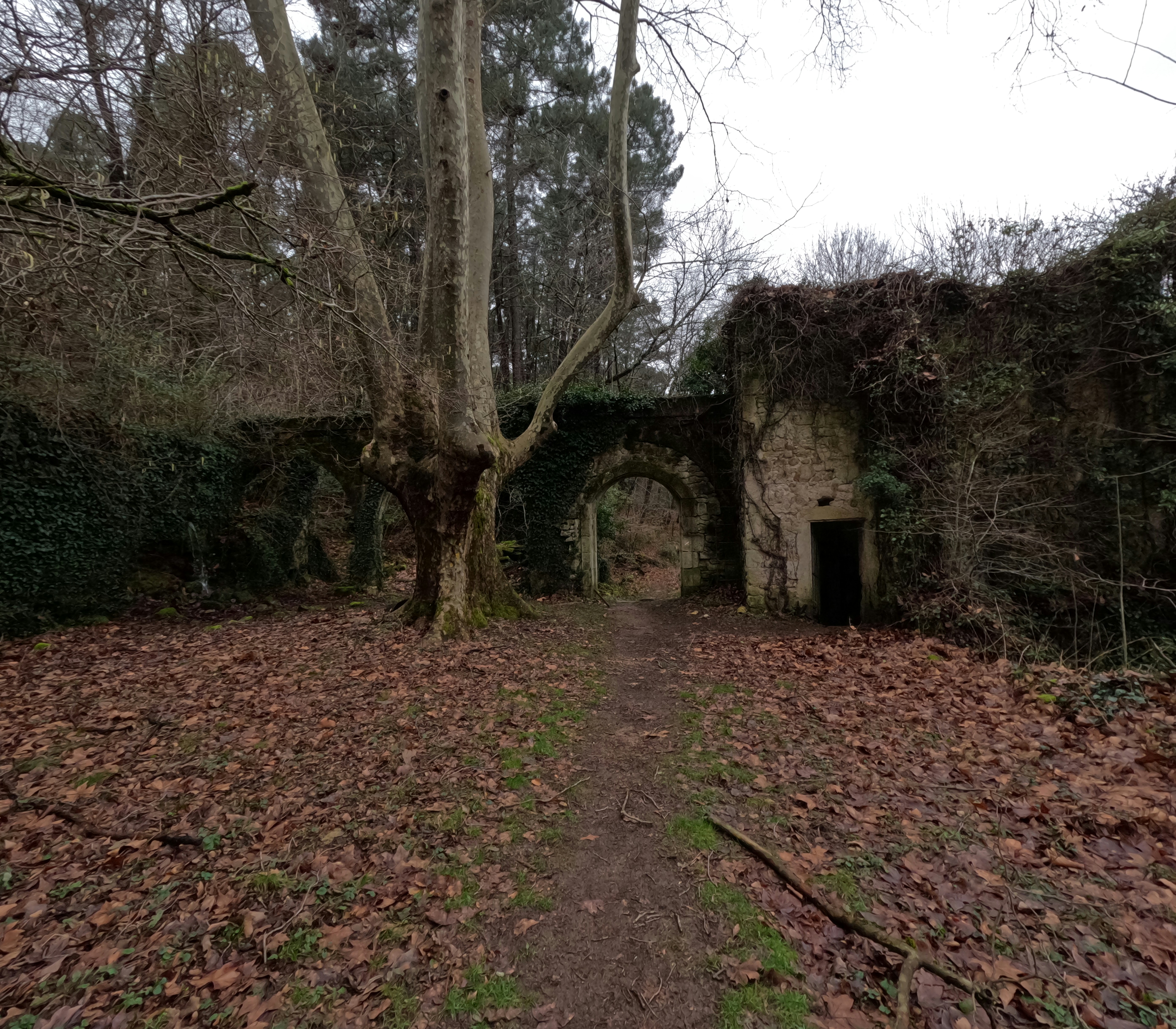 Abbaye de Crouzet, Ardèche, France | A path in the middle of a wooded area