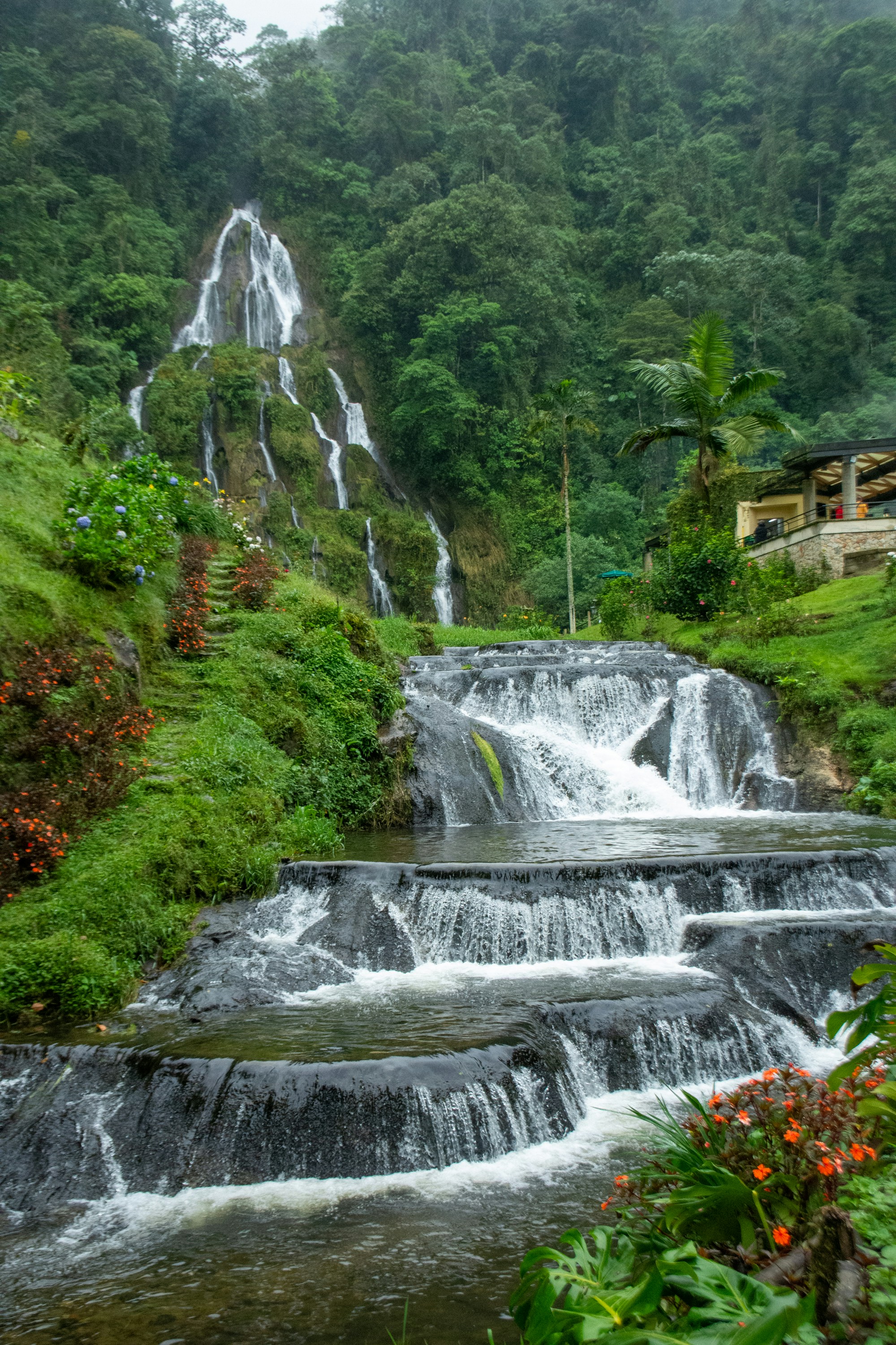 A waterfall in the middle of a lush green forest photo – Free Termales ...