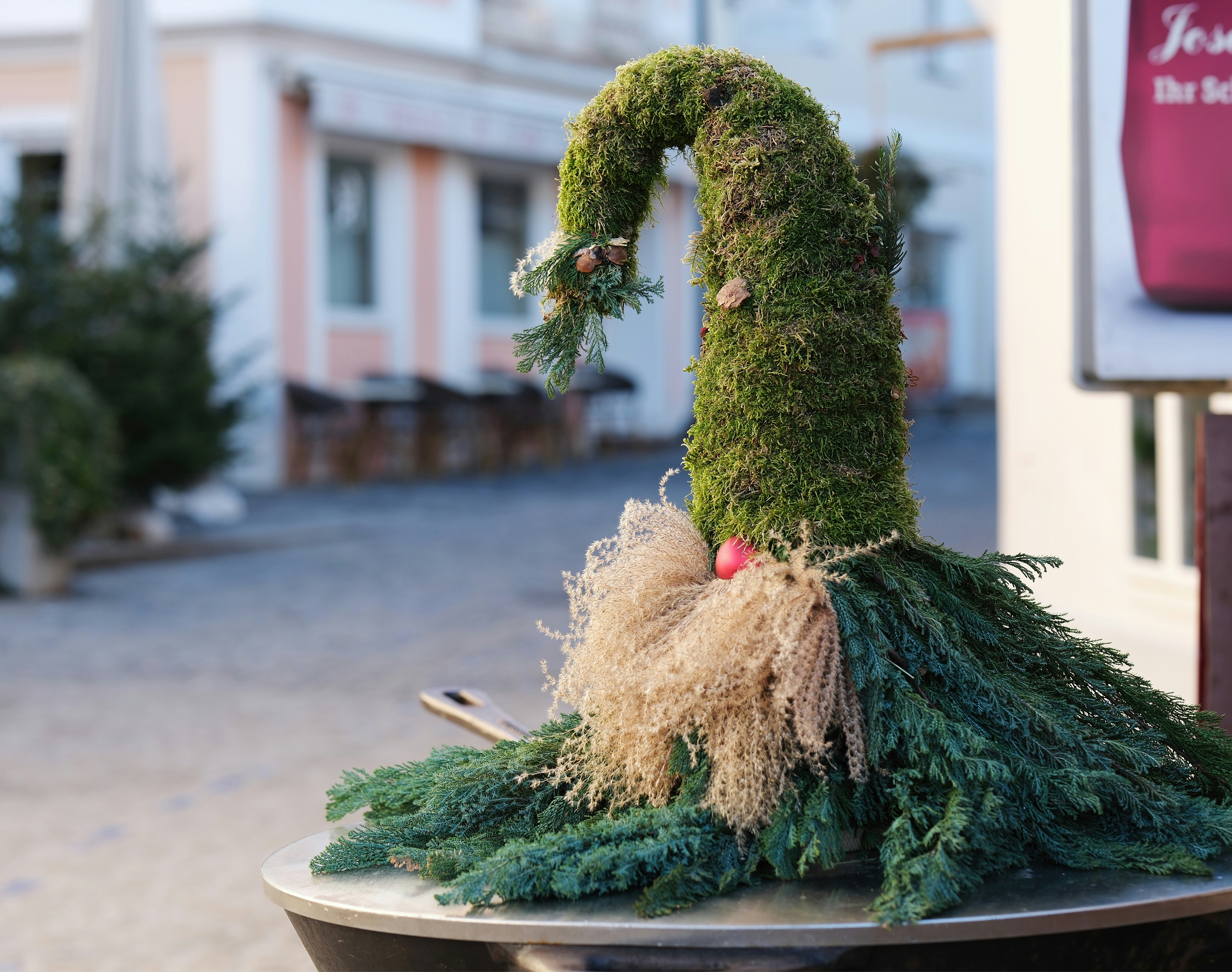 Verdant Sentinel on a Sunlit Street Table