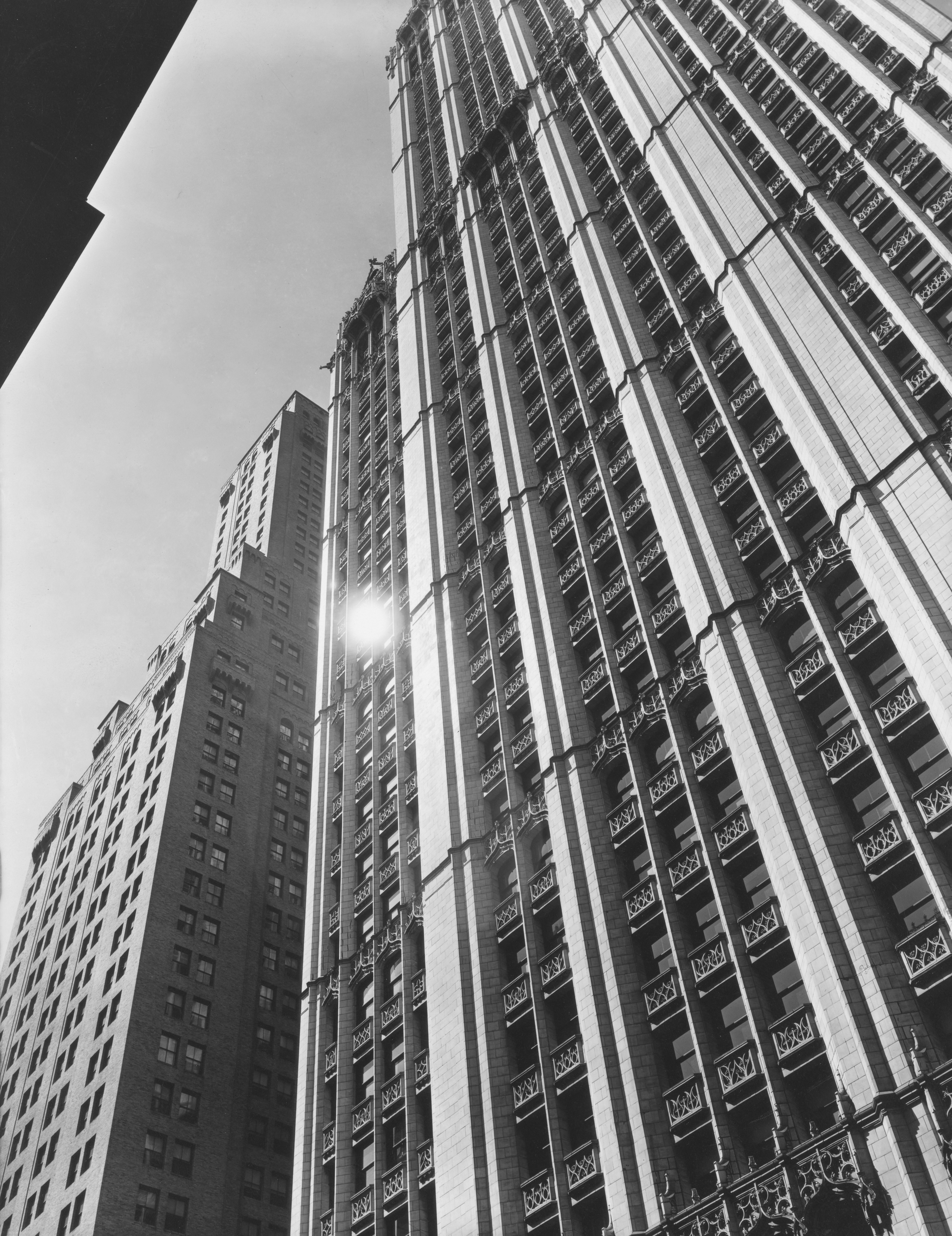 Towering Woolworth Building with intricate Gothic details under a clear sky.