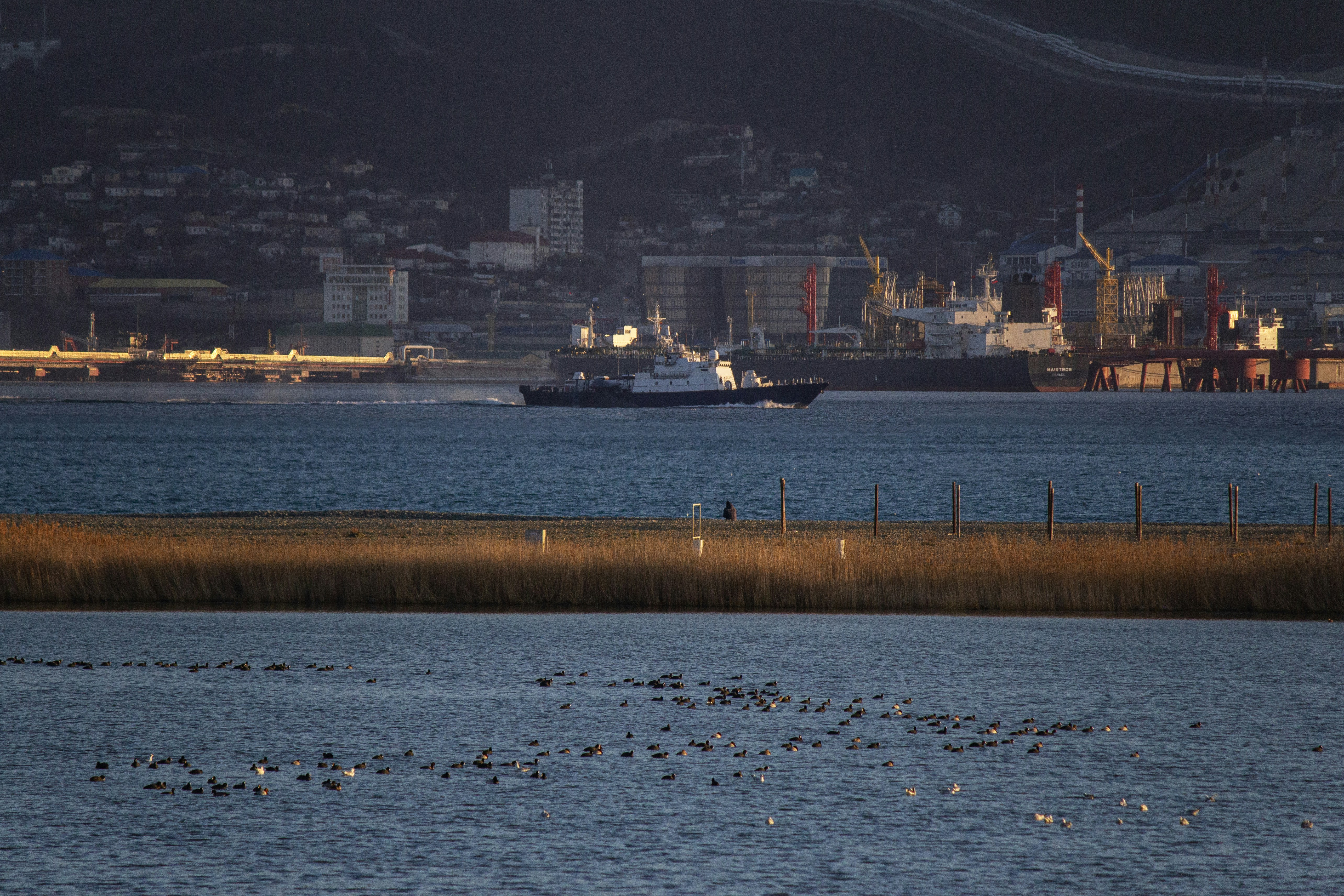 Harbor at Dusk: A Tug Cuts Through the Quiet Water