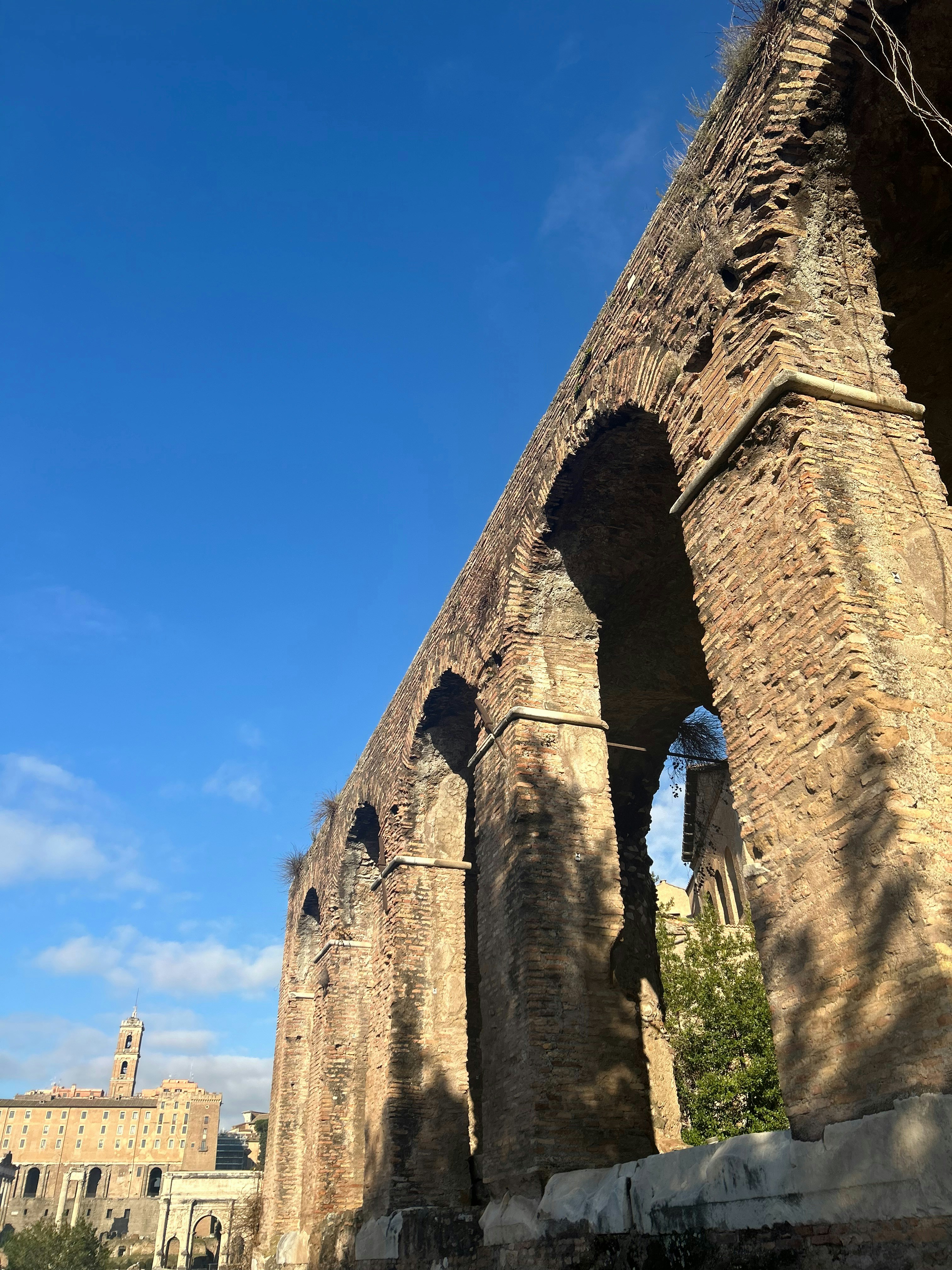 Jason Chiang (@jasonchiang) | Unsplashフォトコミュニティ