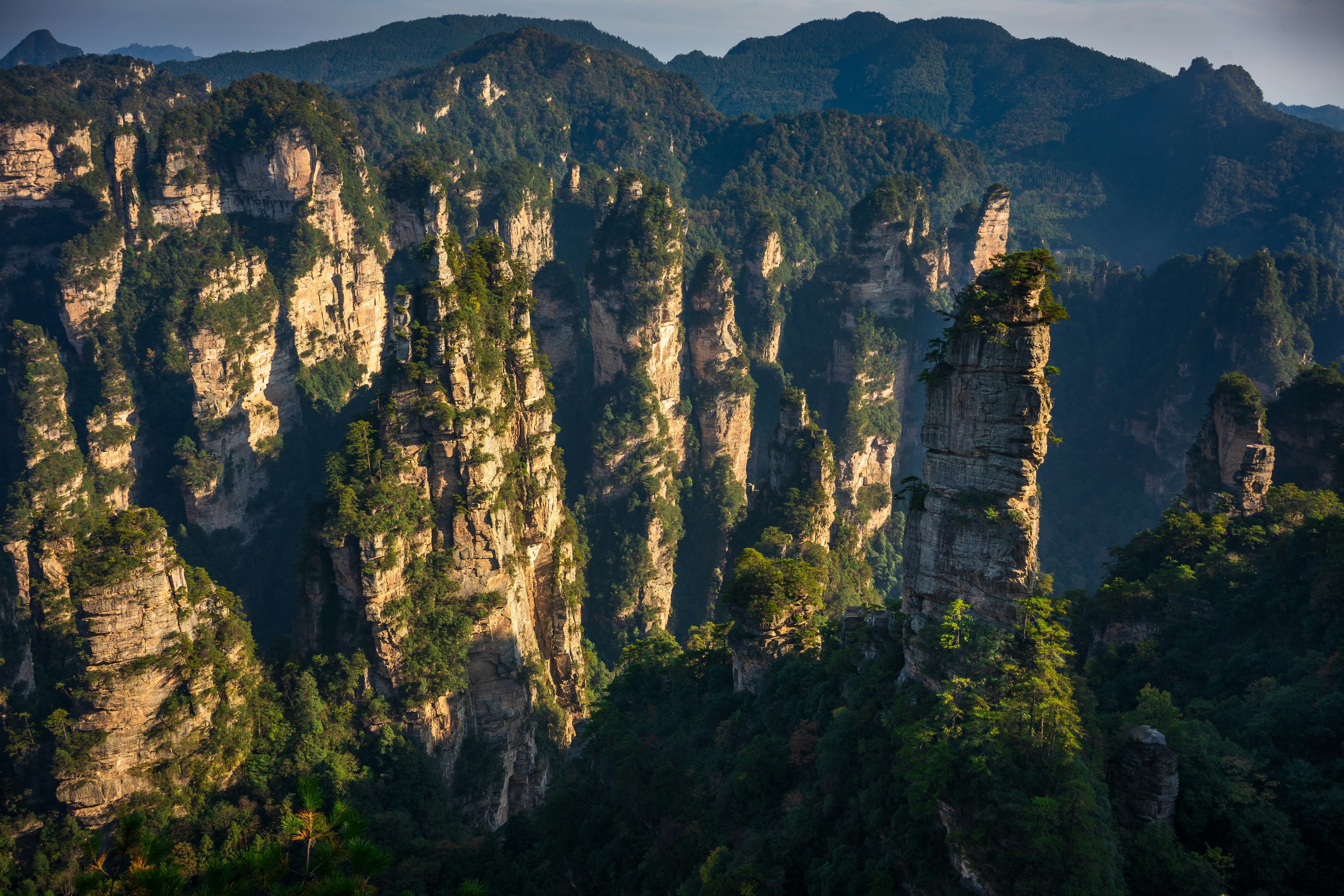 Majestic Pillars of ZhangjiajieJakub Tomasik