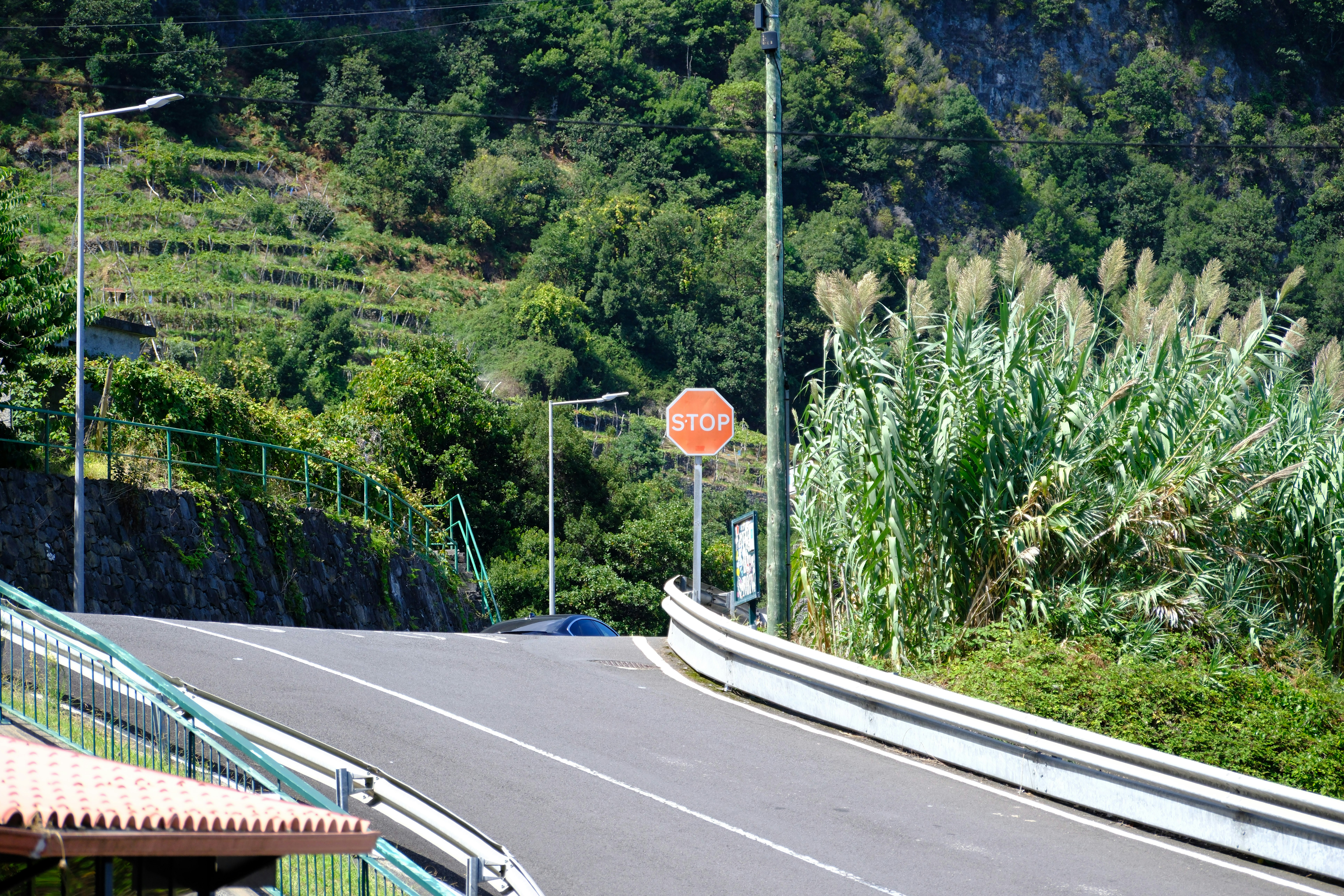 Stop Sign at the Bend: Guardrails on a Mountain Road Curve