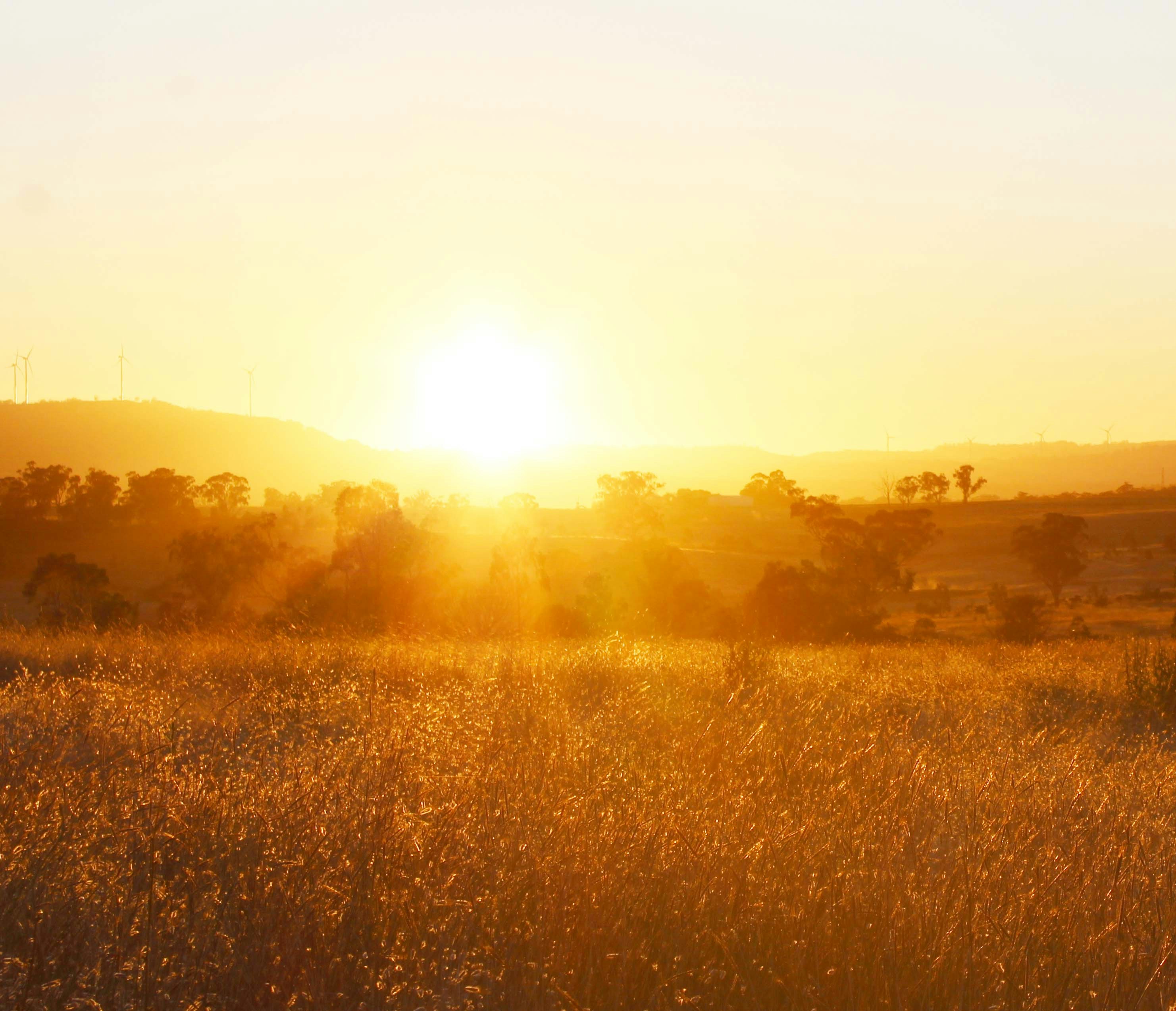 elaine alex (@smil_e_s) | Communauté photos Unsplash