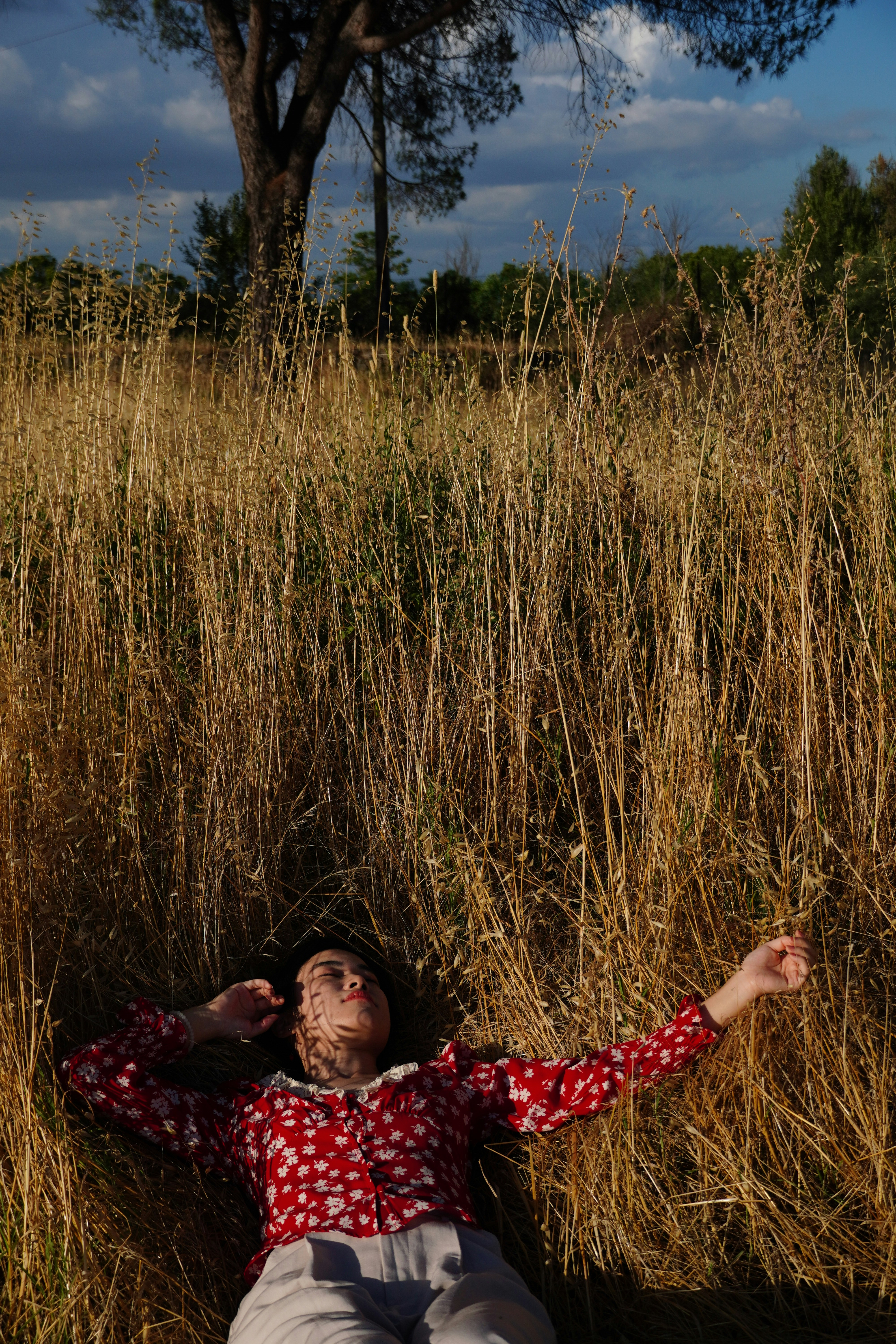 Whispers of Nature: A Serene Embrace