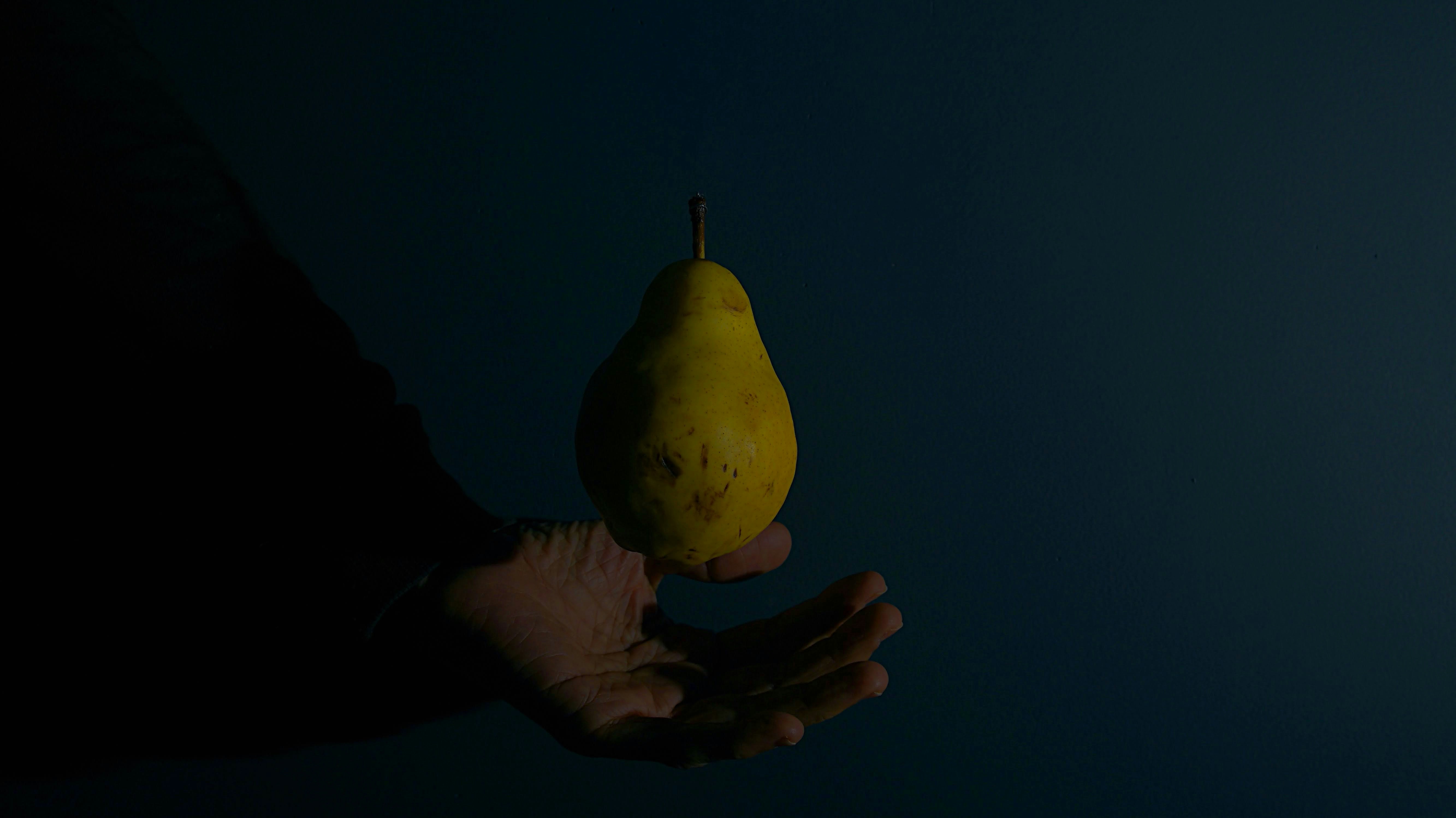 Silent Harvest: A Pear Resting in a Shielded Hand