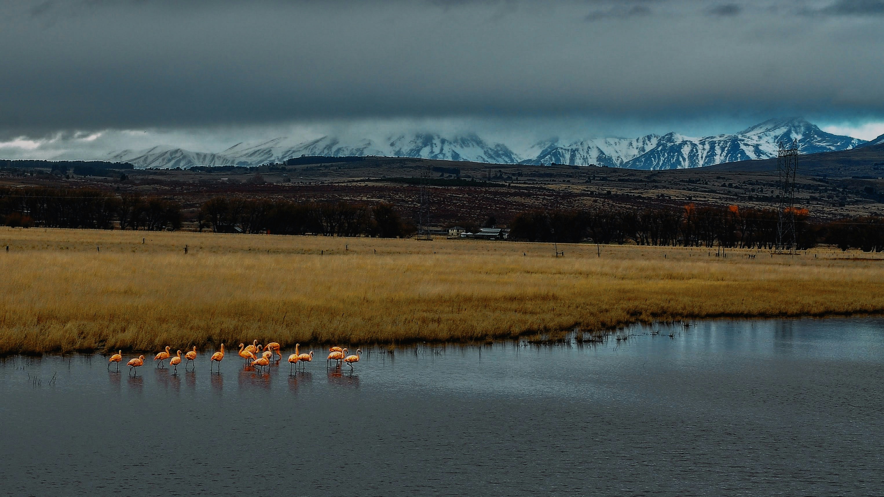Serenity in the Shadows of Snow-Capped Peaks