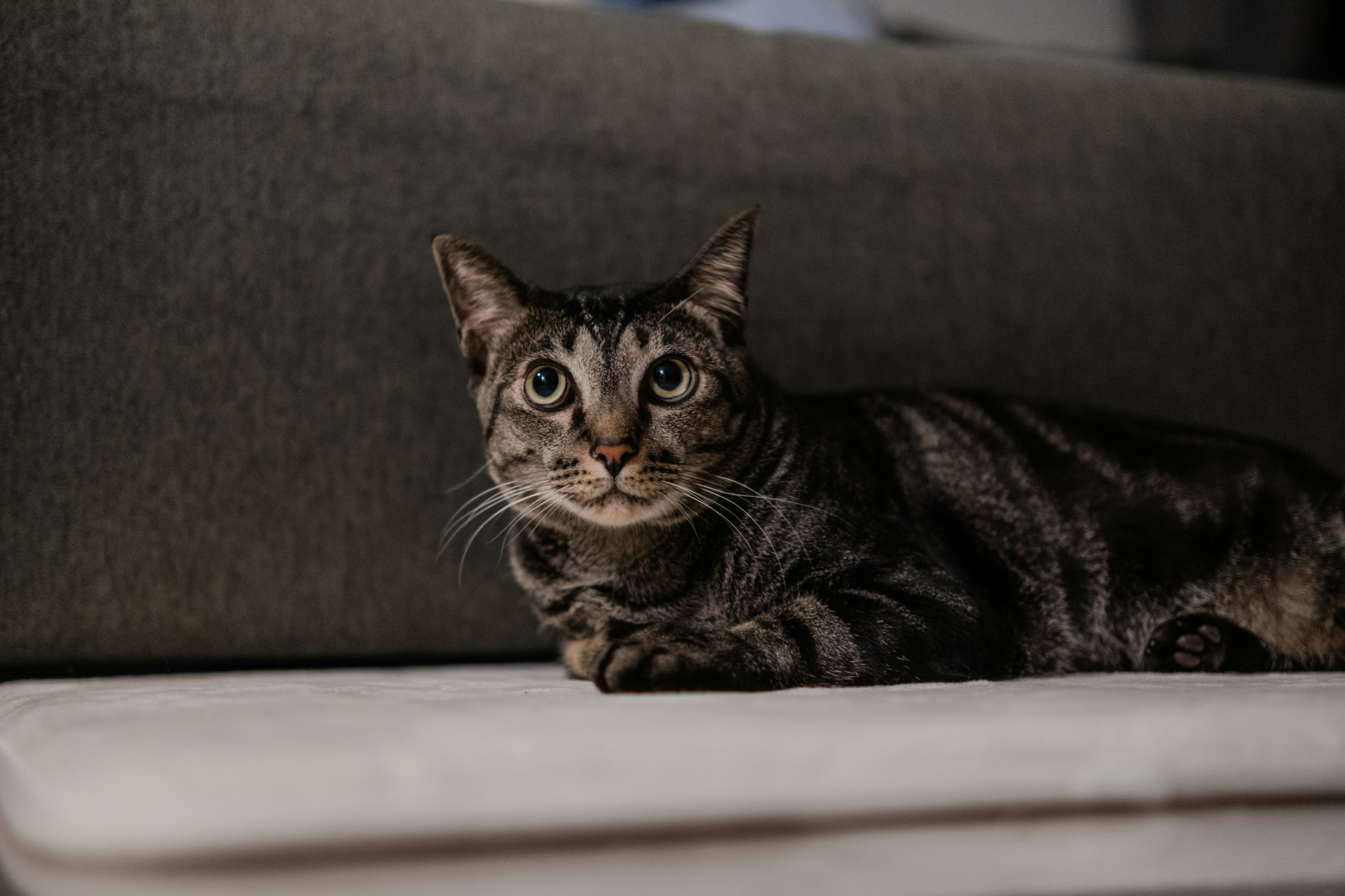 Photo by Kazuki Taira with Fujifilm X-E4