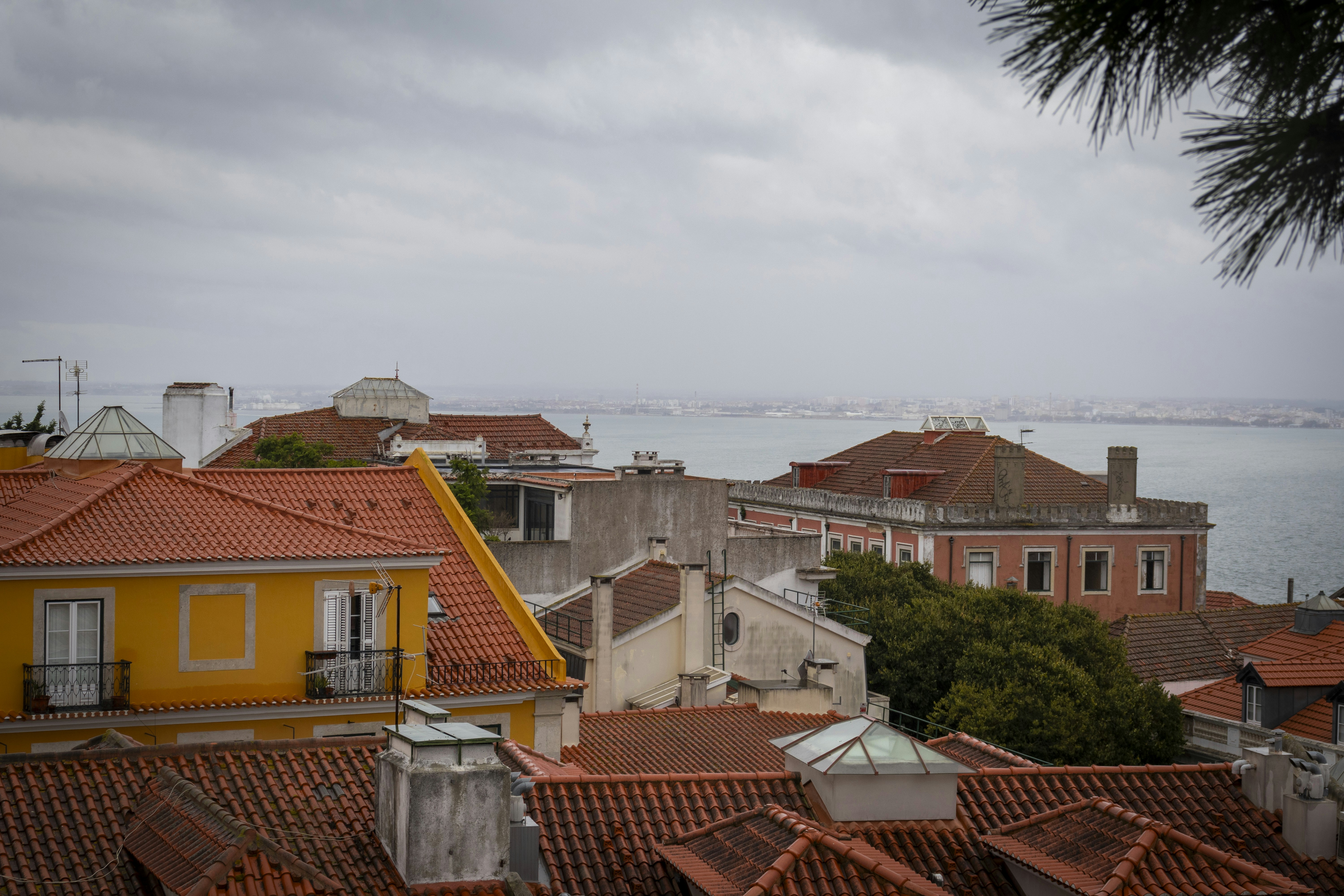 Photo by Sina Kollegger with Canon EOS 250D