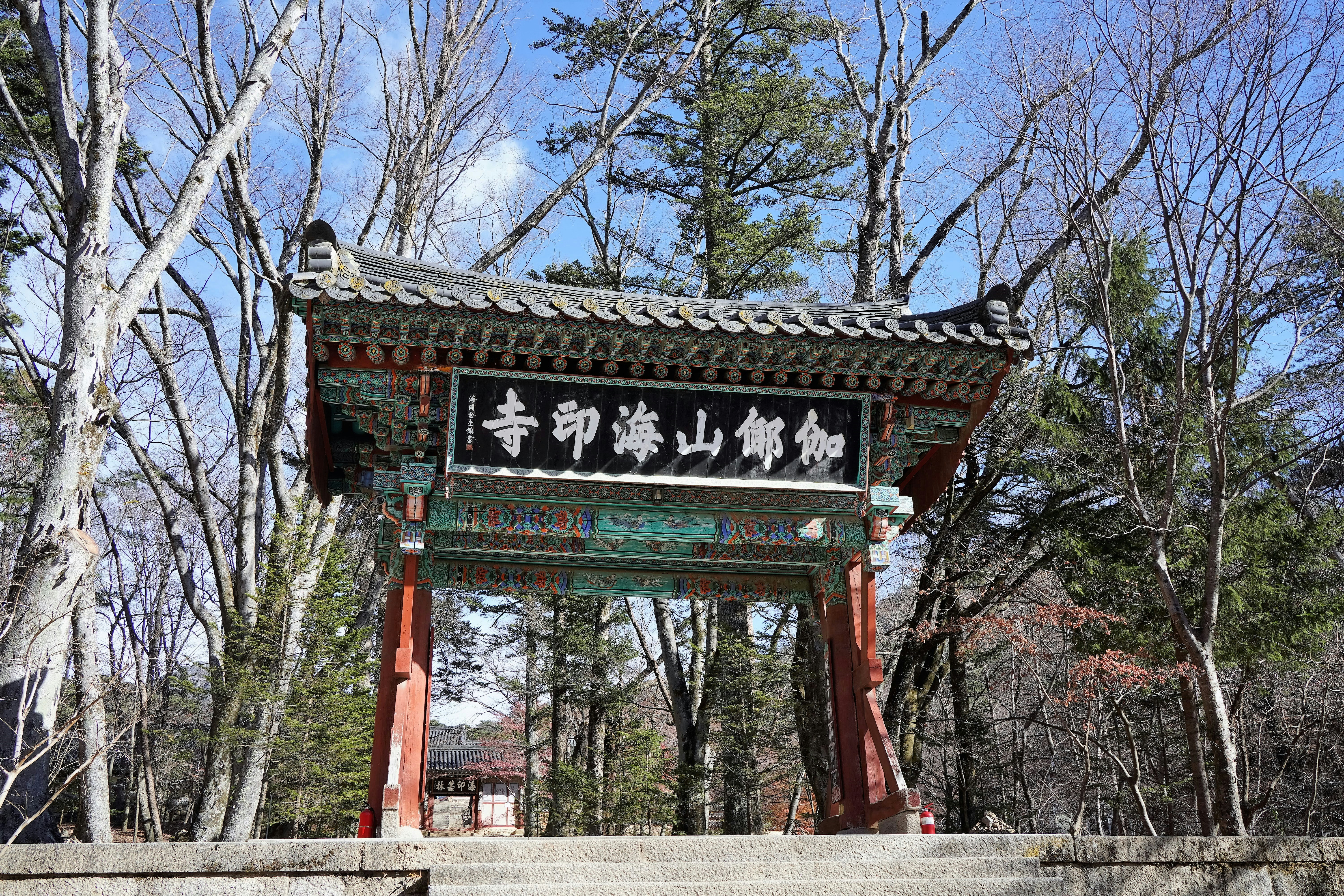 An oriental gate in the middle of a forest photo – Free Temple Image on ...