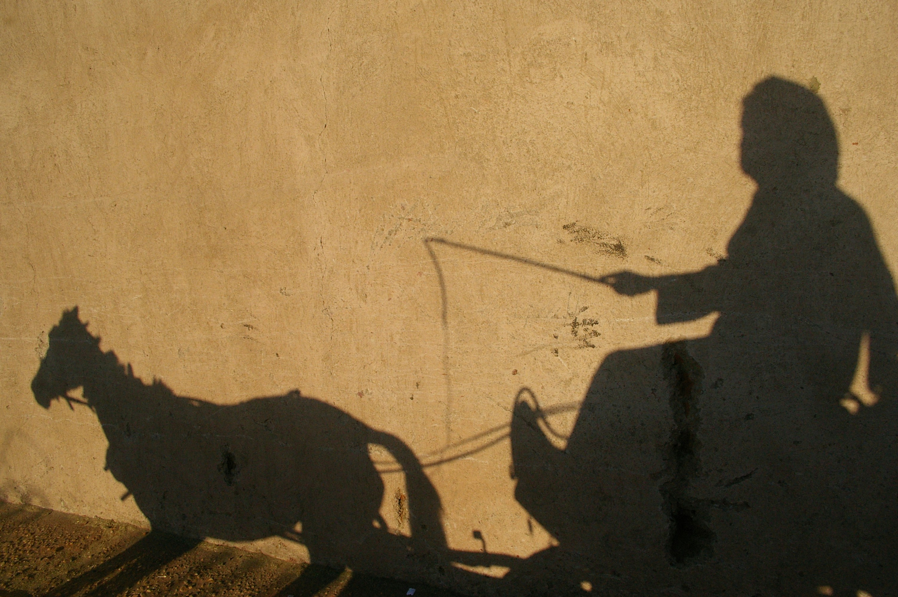 Golden sunlight casts the silhouette of a rider with a tethered horse on a textured wall. The composition emphasizes shadow play and wall texture.