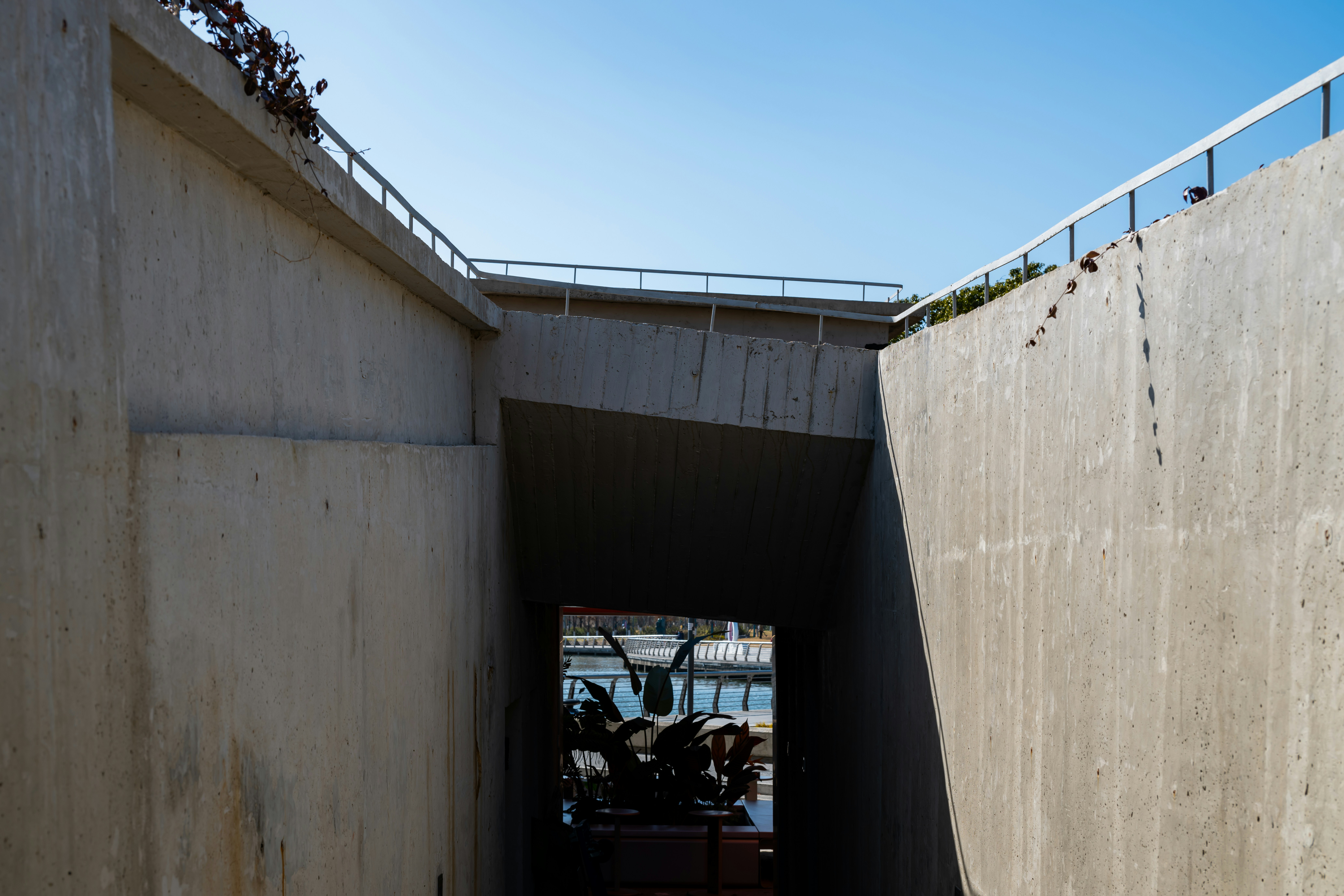 Threshold of Light: Concrete Canal Framing a Harbor Glint