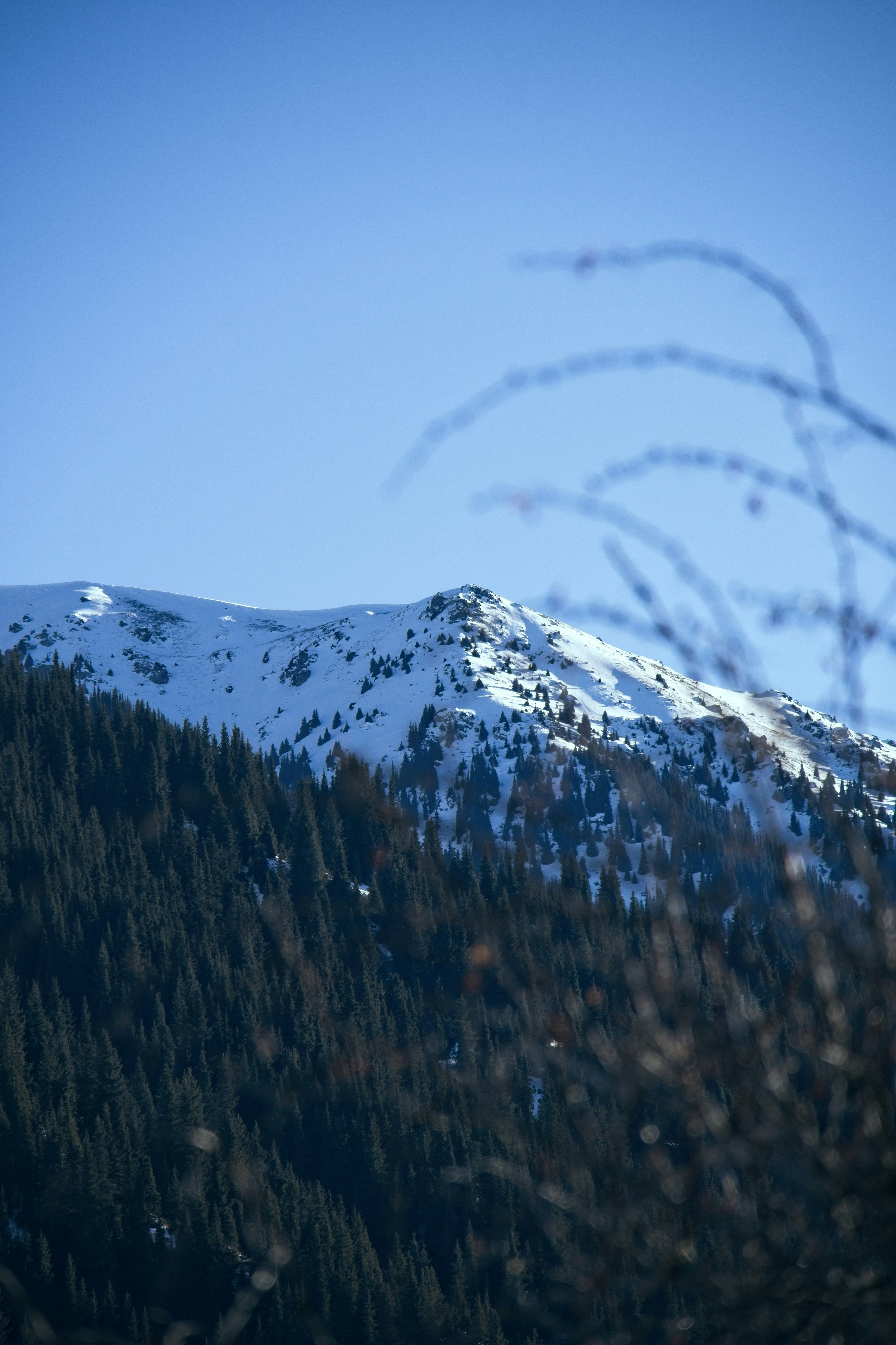 Photo by Nipun Haldar with Canon EOS R10