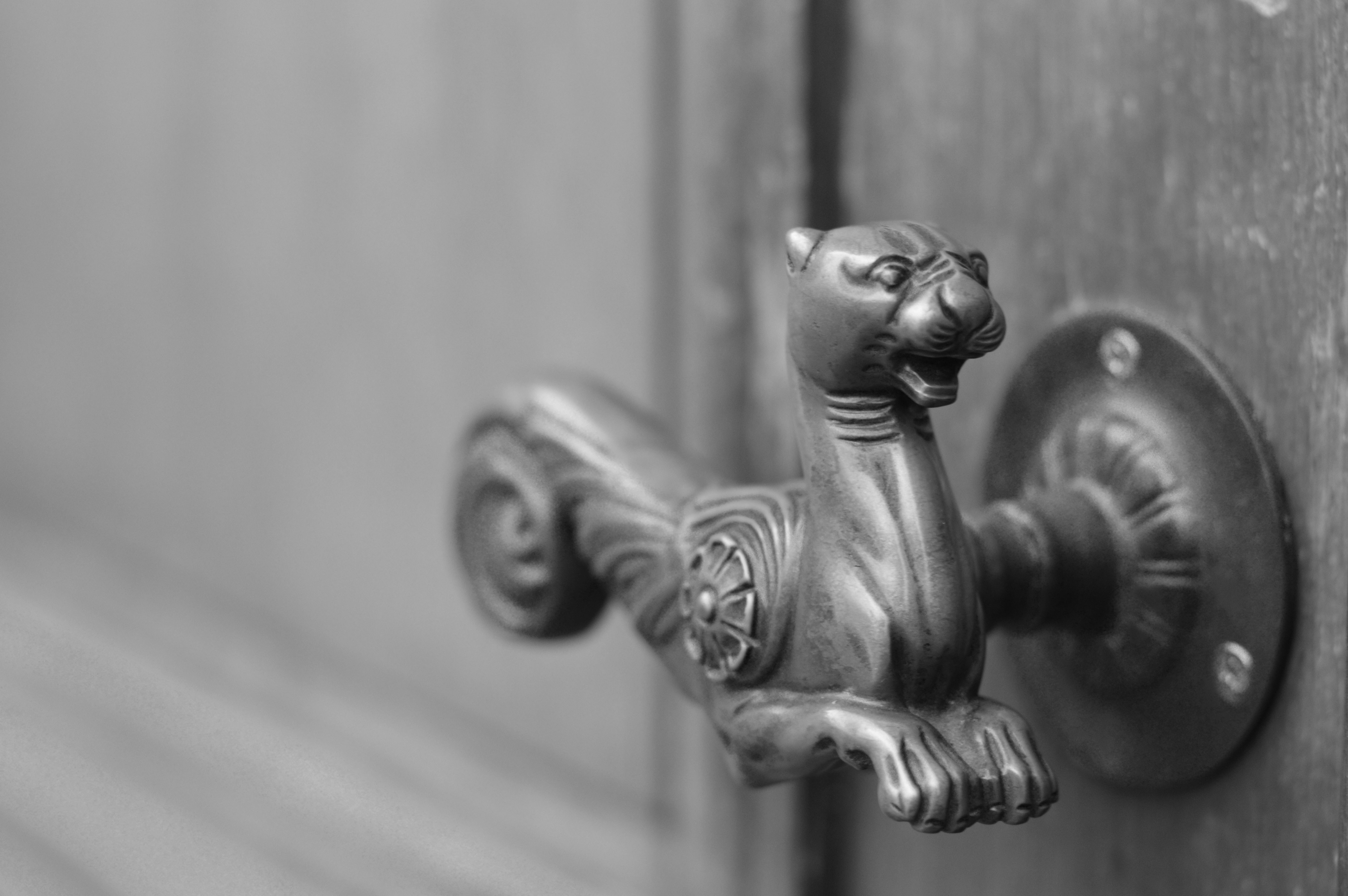 Ironnosed Gatekeeper: A Brass Cat Grips the Door to Age