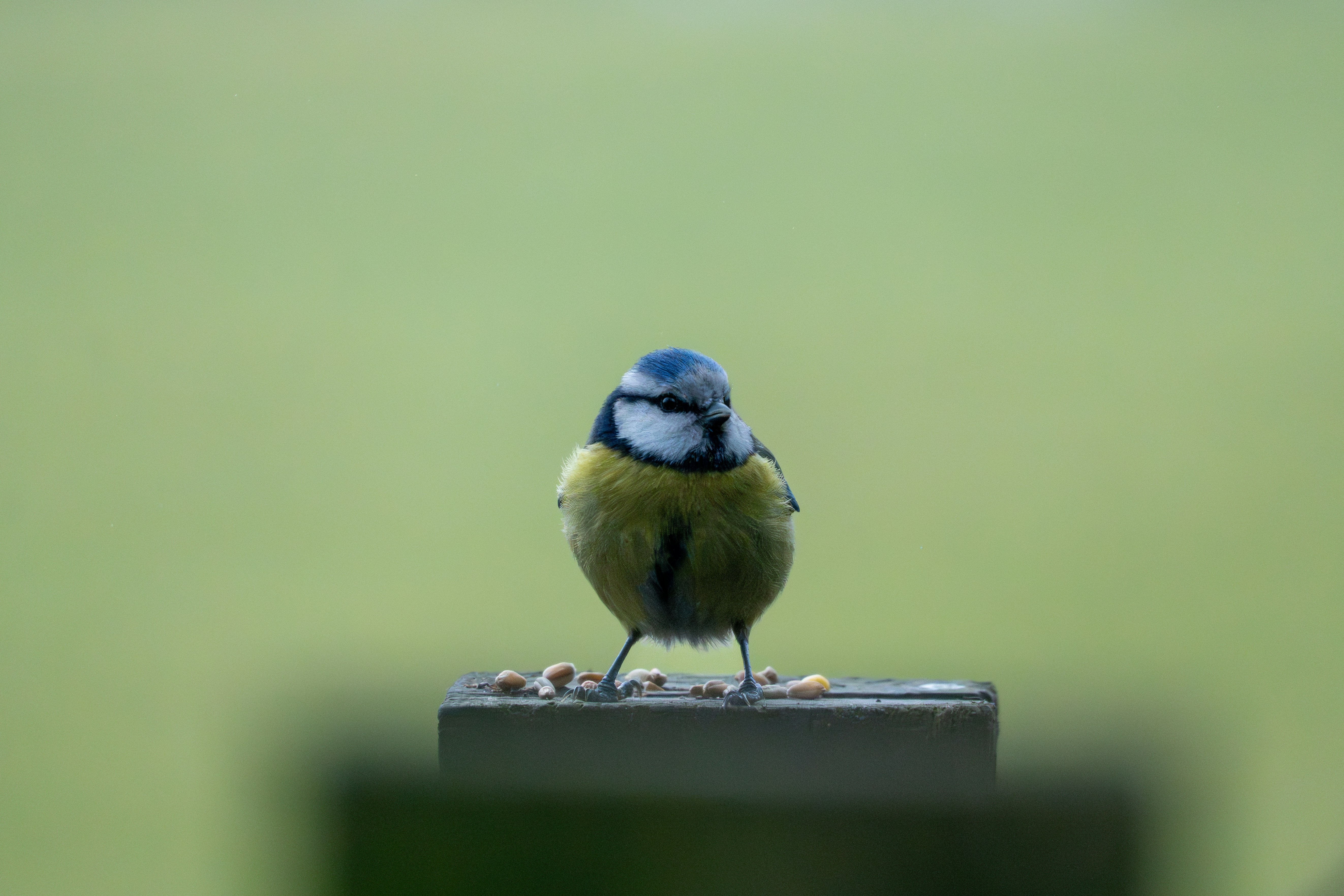 Photo by Tom Longbottom with Sony Alpha 6700