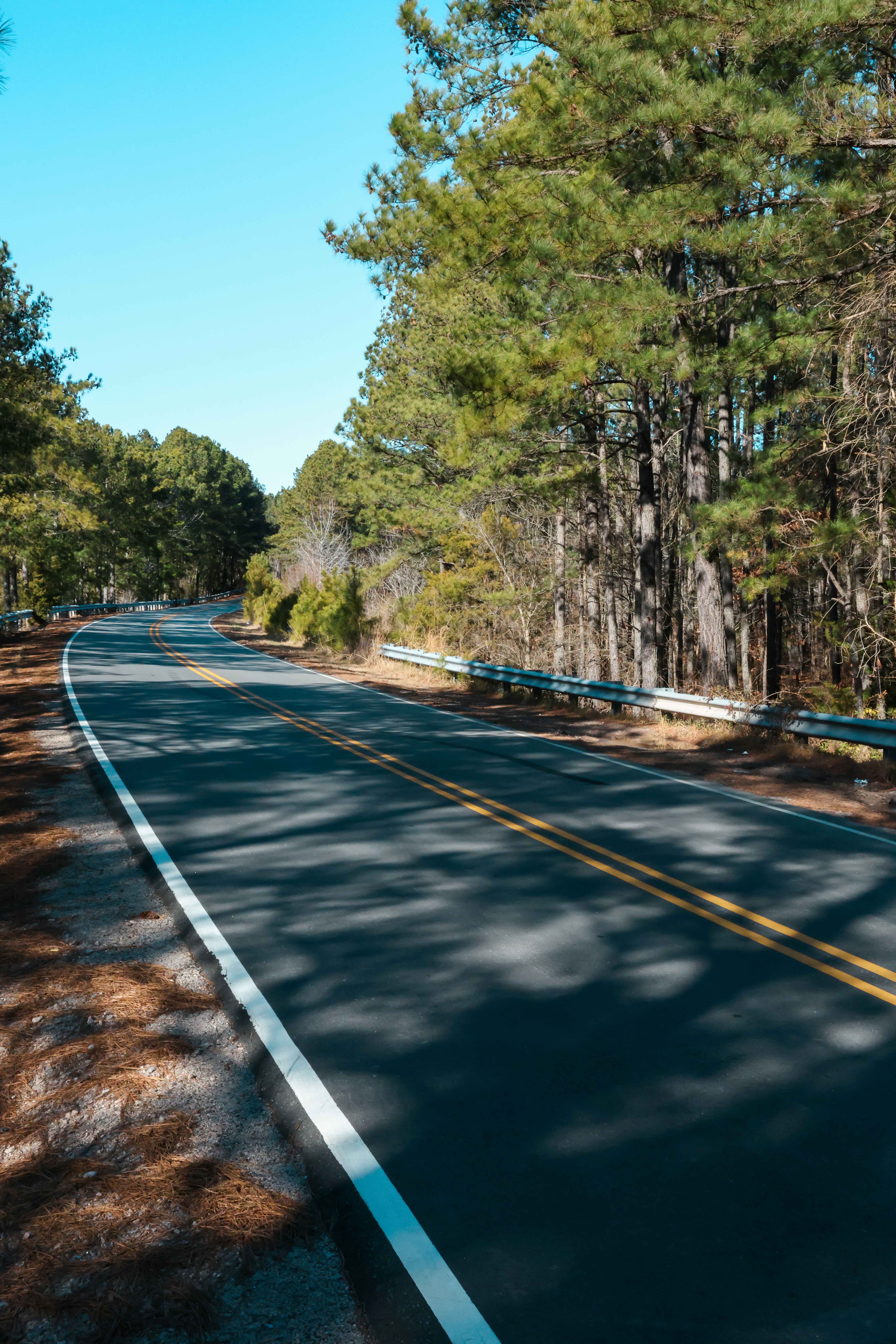 An empty road in the middle of a wooded area photo – Free Road Image on ...