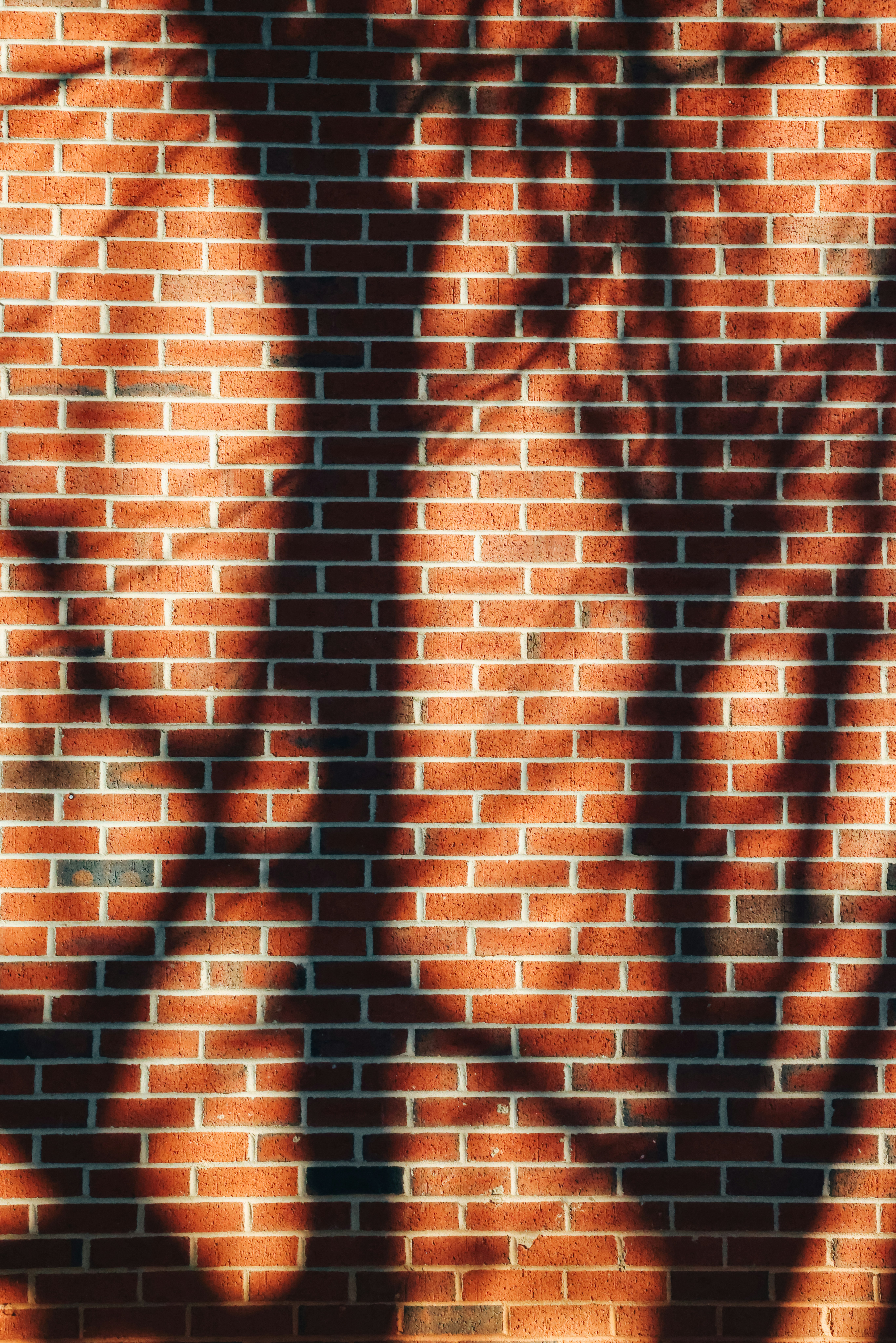 Shadowplay on Brick Facade