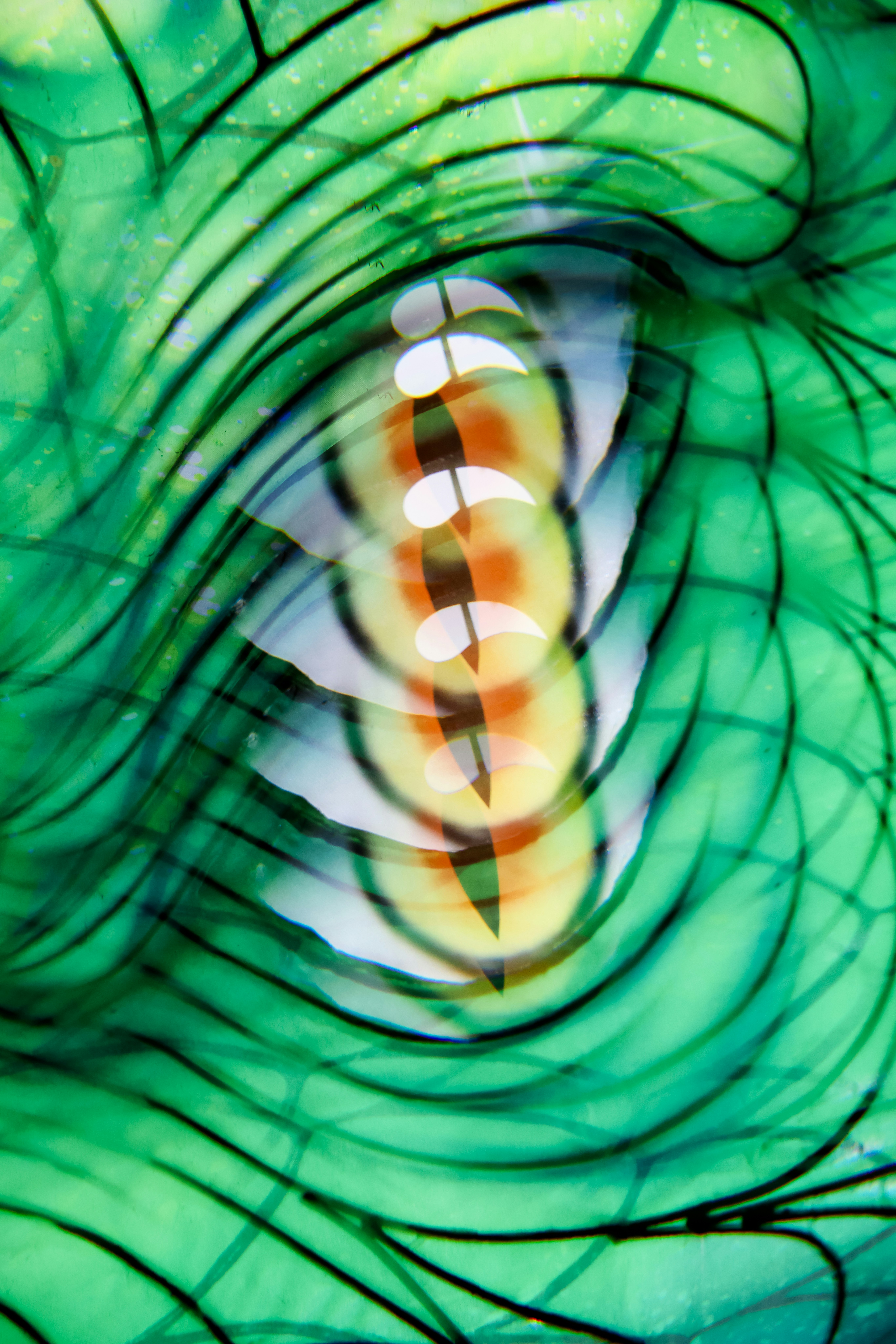 Emerald Iris Coil: An Abstract Macro Portrait