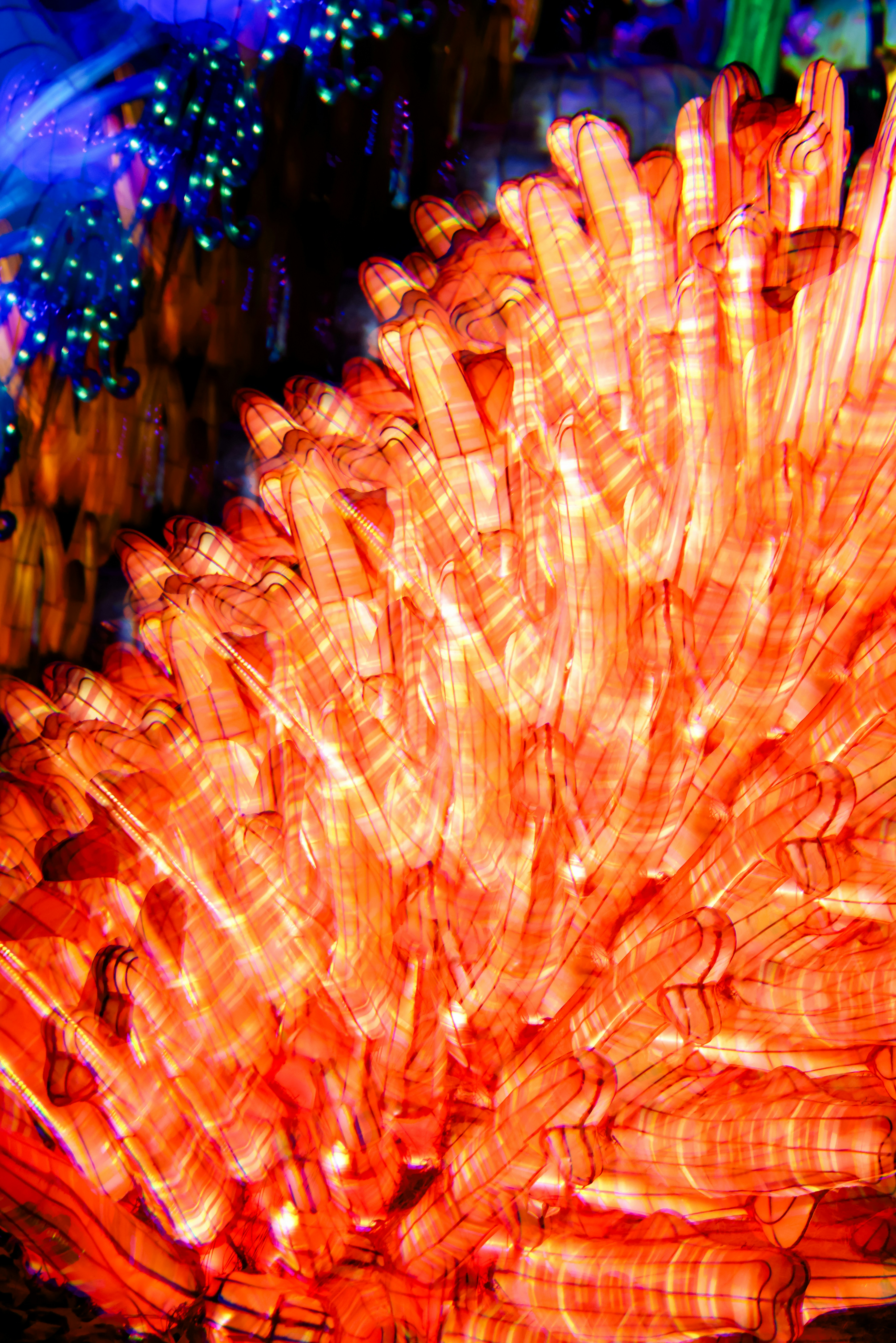 Photo by Brandon Griggs with Canon EOS R5 Mark II