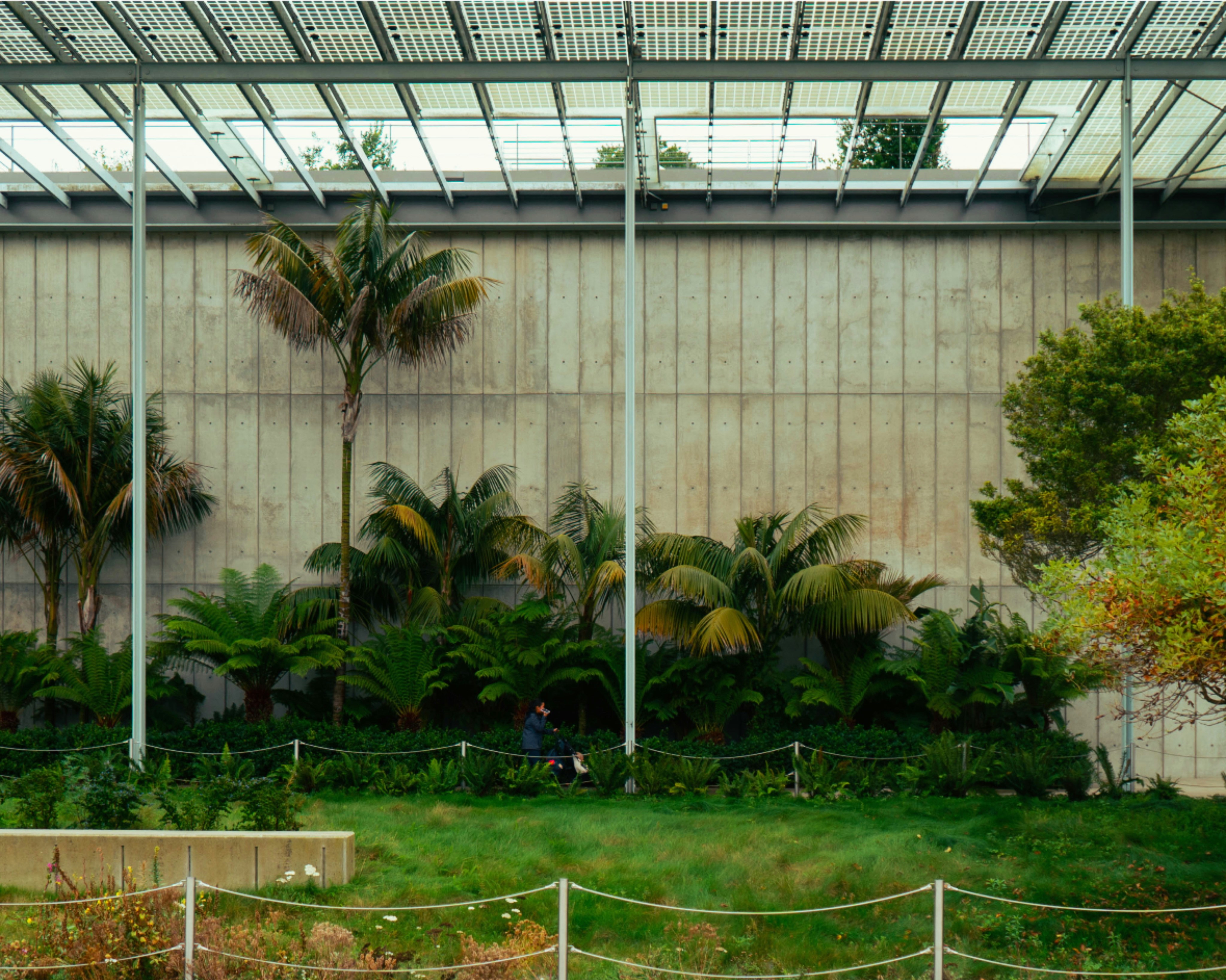Hidden gardener beneath the palm-lined concrete wall